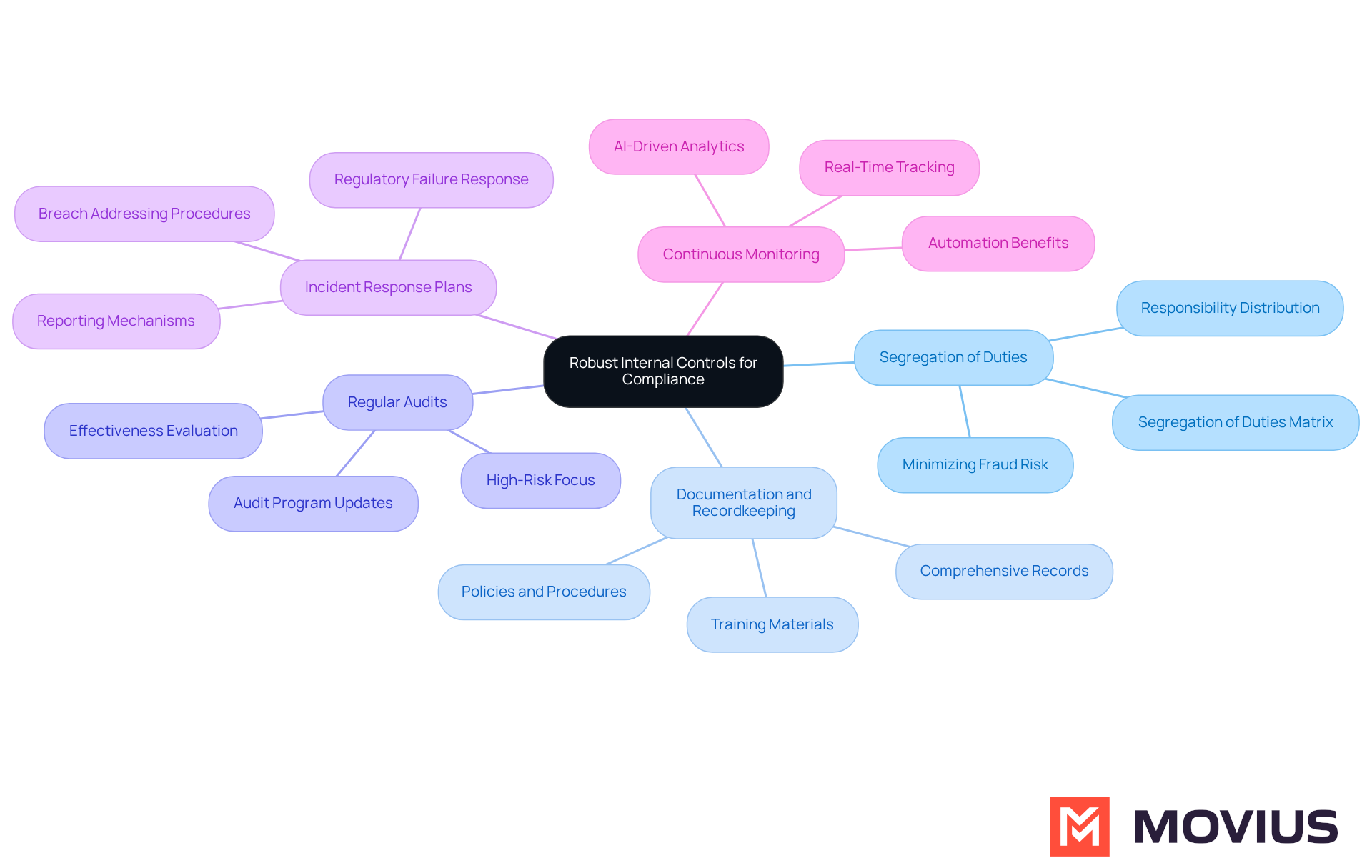 The center represents the main goal of implementing internal controls, while each branch shows a specific practice. Follow the branches to explore details and examples that support each practice.