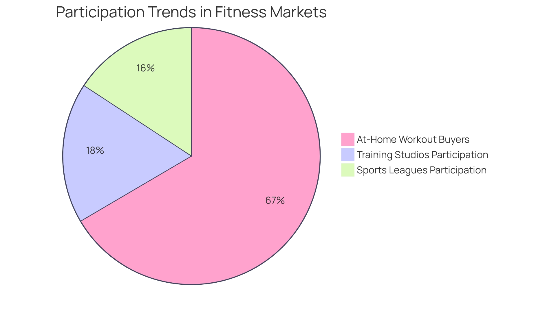 Each segment of the pie chart represents a segment of the fitness market: At-Home Workout Buyers (33.8%), Training Studios (9%), and Sports Leagues (8%).