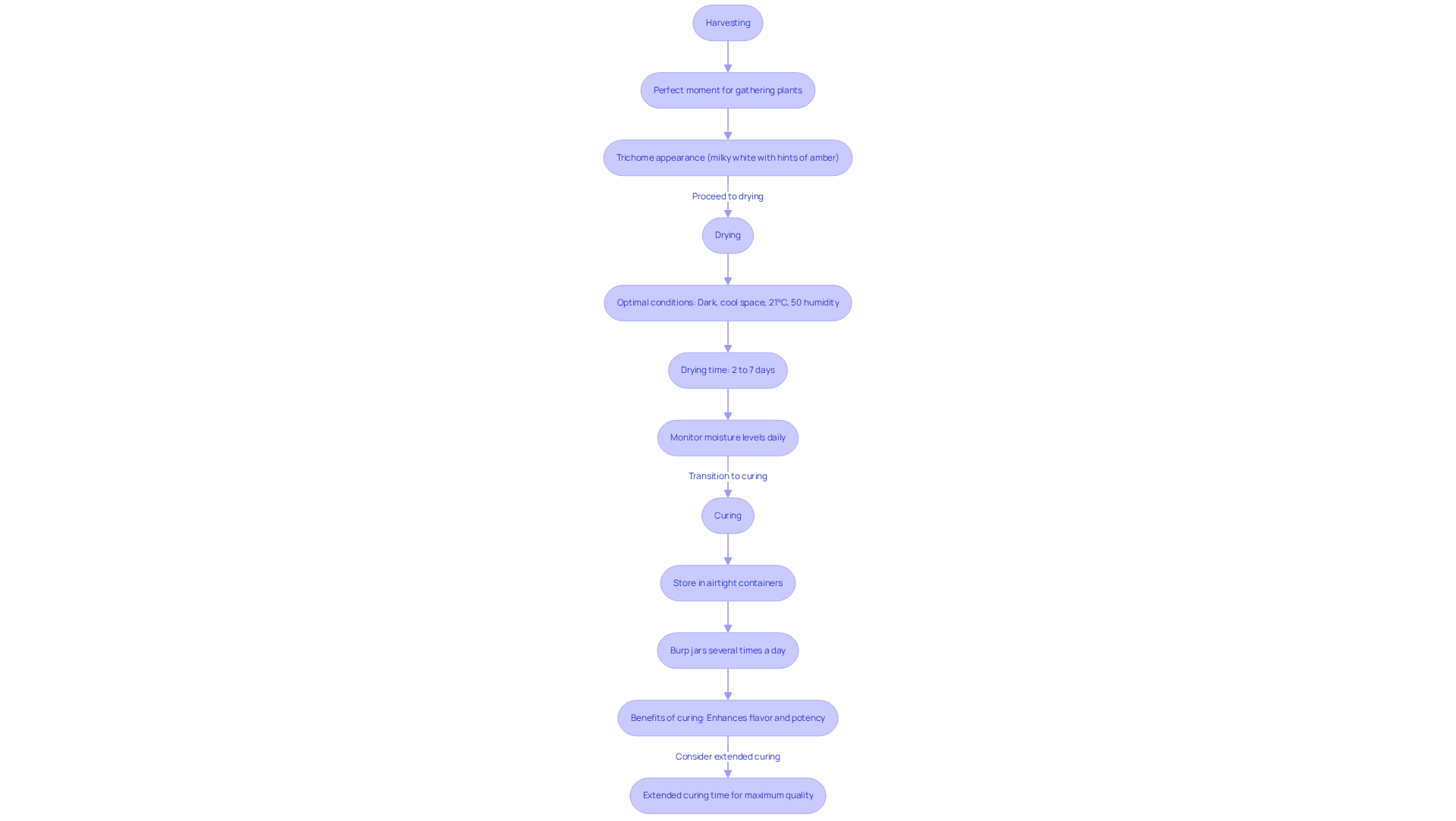 Follow the steps from harvesting to curing. Each box represents a key stage in the process, and arrows show how one step leads to the next. Key details within each box explain what to do and why it's important for achieving high-quality cannabis.