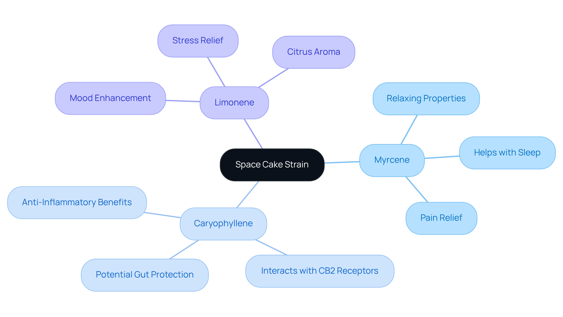 Start at the center with the Space Cake Strain, then explore each terpene's unique properties and benefits. The branches represent how these natural compounds contribute to the overall experience and wellness potential.