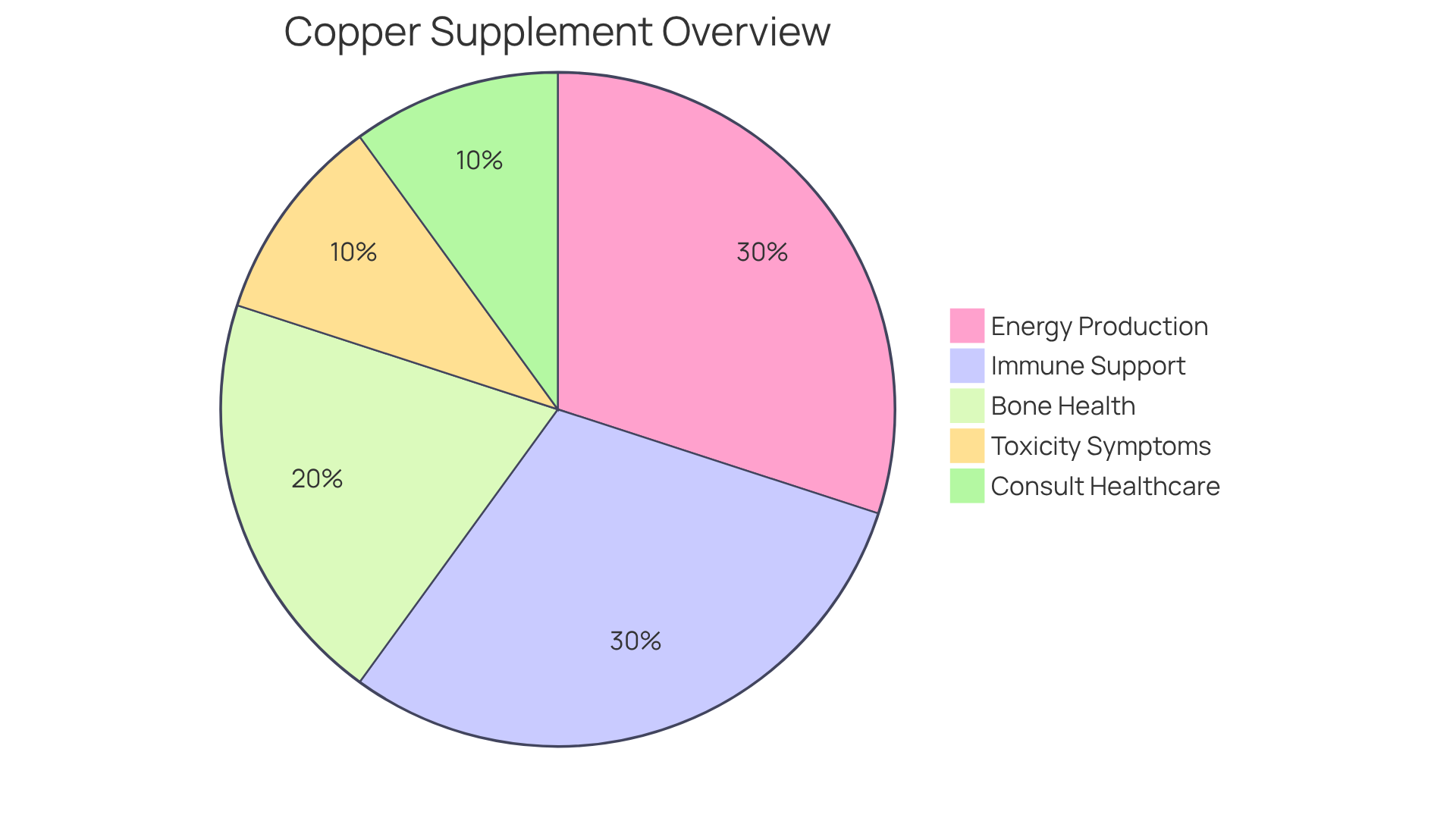This pie chart shows the benefits and risks of copper supplements. The green section represents the positive effects like energy boost and immune support, while the red section highlights the risks, including potential toxicity and the importance of consulting a healthcare professional.