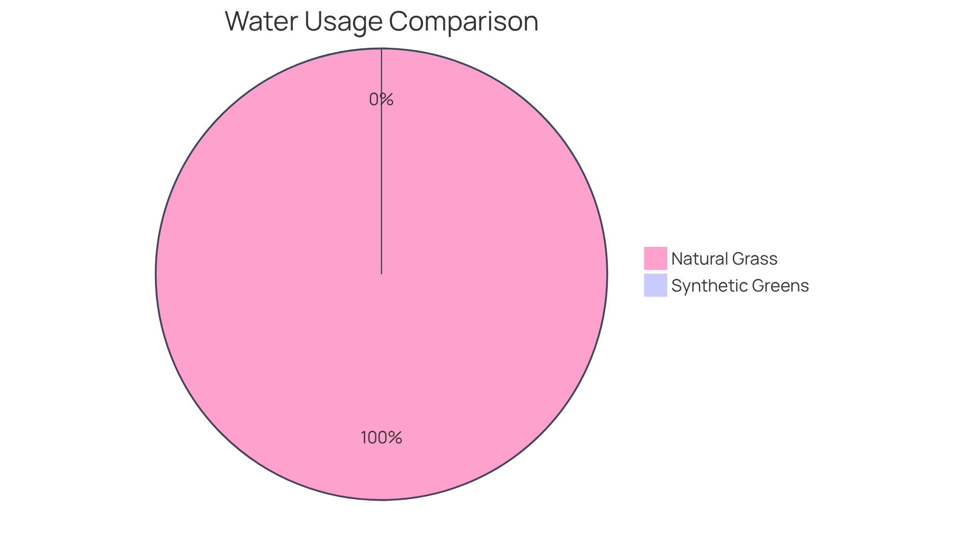 This chart shows how much water each option uses. The green slice represents natural grass, which uses a lot of water, while the blue slice shows that synthetic greens use none at all!