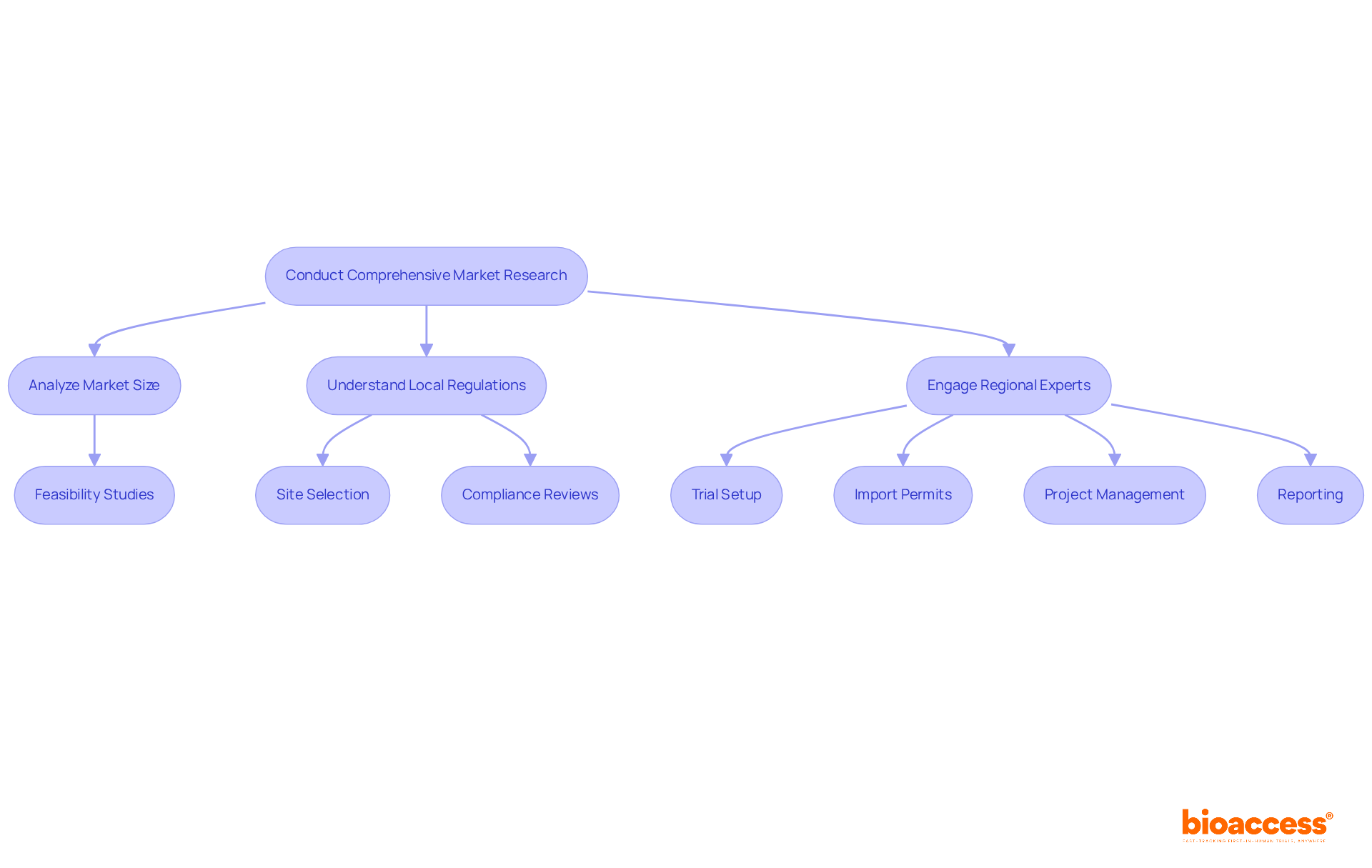 Follow the arrows to see the steps companies should take for successful expansion into Latin America. Each box represents an action or consideration, and the flow shows how they connect to achieve market entry. Follow the arrows to see the steps companies should take for successful expansion into Latin America. Each box represents an action or consideration, and the flow shows how they connect to achieve market entry.