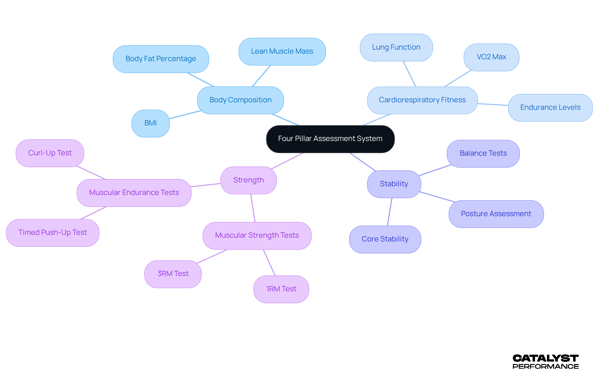 The center represents the assessment system, while the branches show the four key areas of focus. Each area contributes to understanding and improving overall health and fitness.
