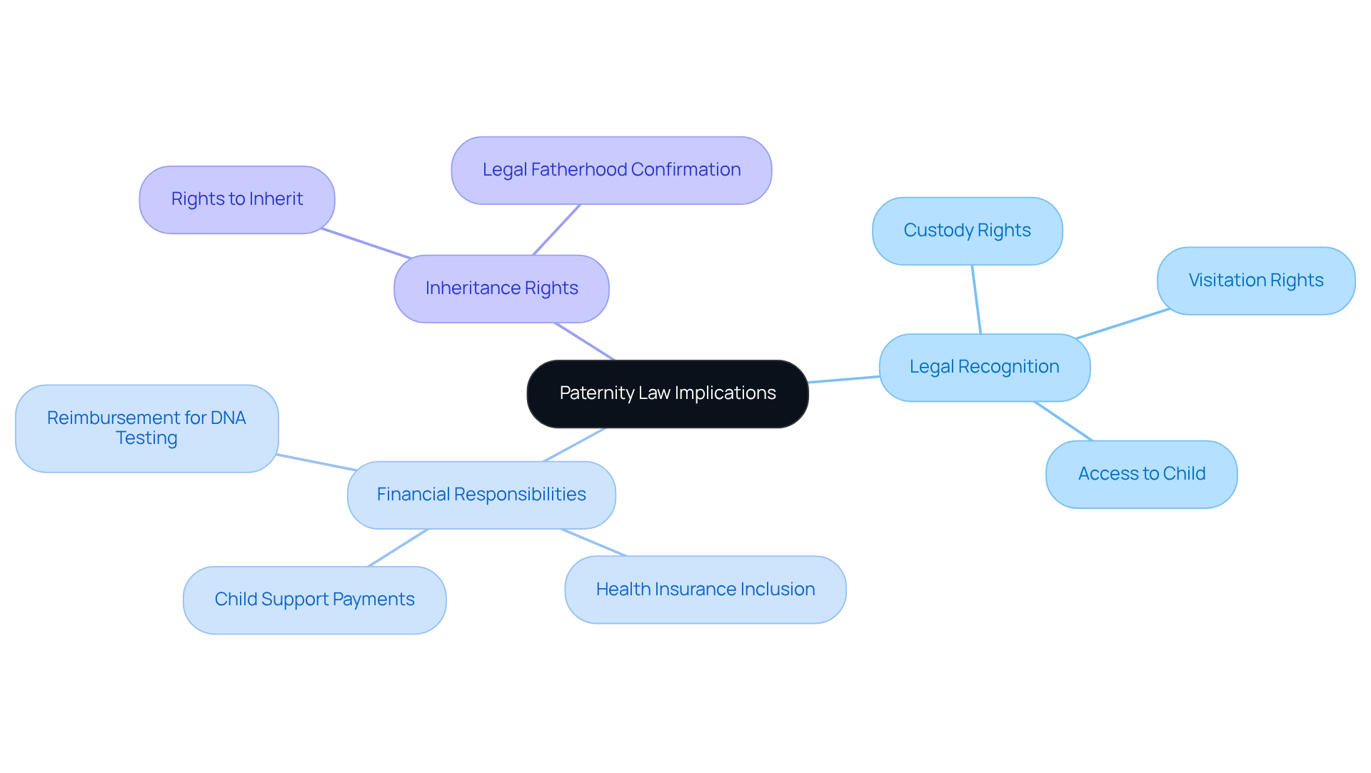The central node represents paternity law, while the branches show the key implications. Each sub-branch provides more detail on what each implication entails, helping you understand the full scope of paternity law.