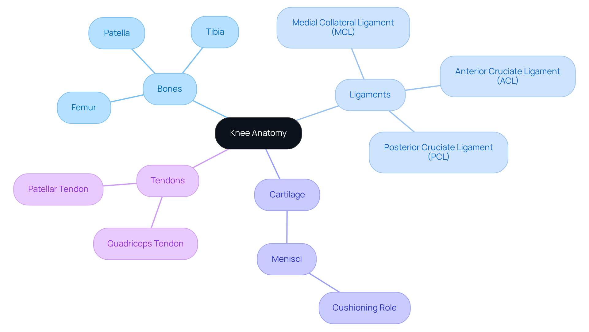This mindmap illustrates the key components of the knee joint. Start at the center with 'Knee Anatomy' and explore each branch to learn about the bones, ligaments, cartilage, and tendons that make up this complex structure. Each color-coded branch helps you see how these parts work together and their importance in joint health.
