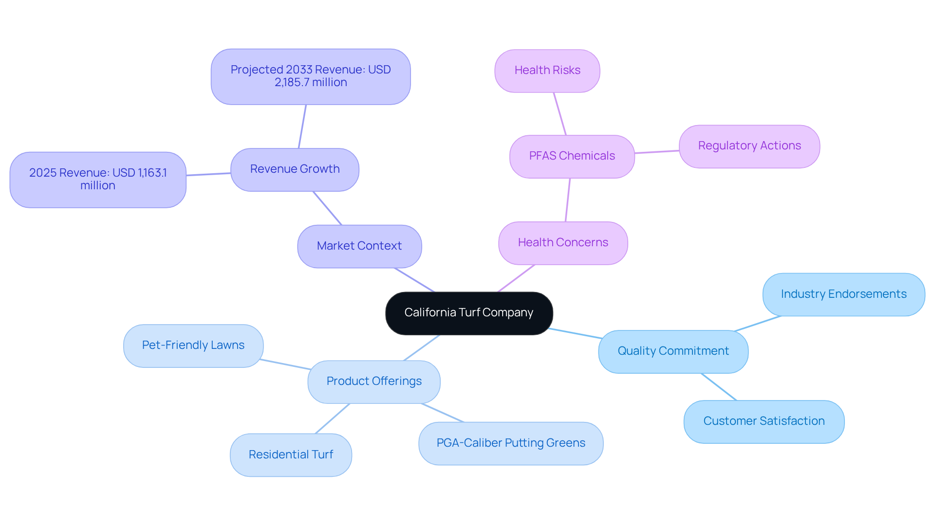 Start at the center with the company name, then explore the branches to see their commitment to quality, the products they offer, the market context, and health concerns related to synthetic grass.