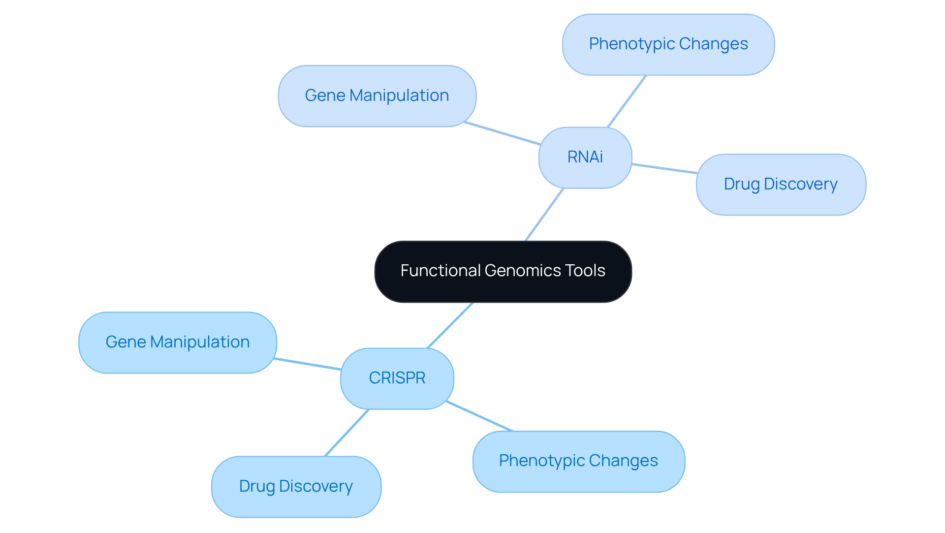 The central node represents the main topic, while the branches show different tools and their applications. Each color-coded branch helps you see how these tools relate to gene function verification and their significance in research.