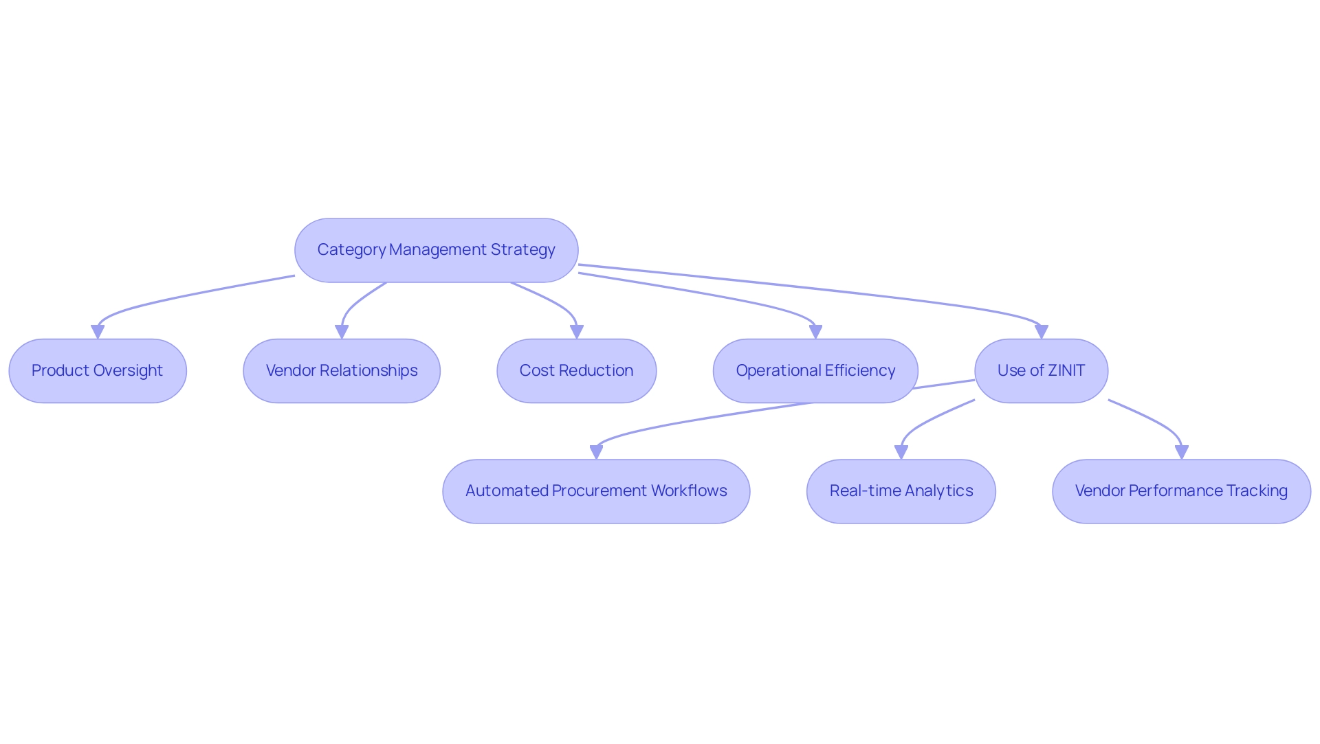 Each box represents a key stage in the category management strategy, with arrows indicating the flow of processes and interactions between components.