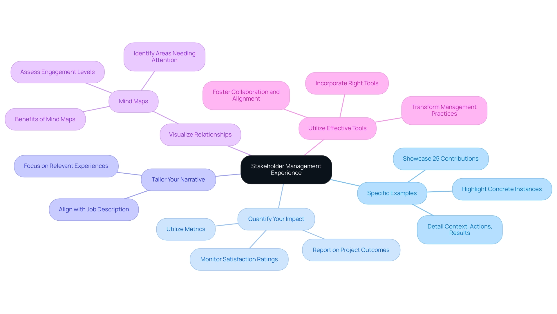 The central node represents the overall theme of stakeholder management experience, with branches showing key strategies and their associated subcomponents.