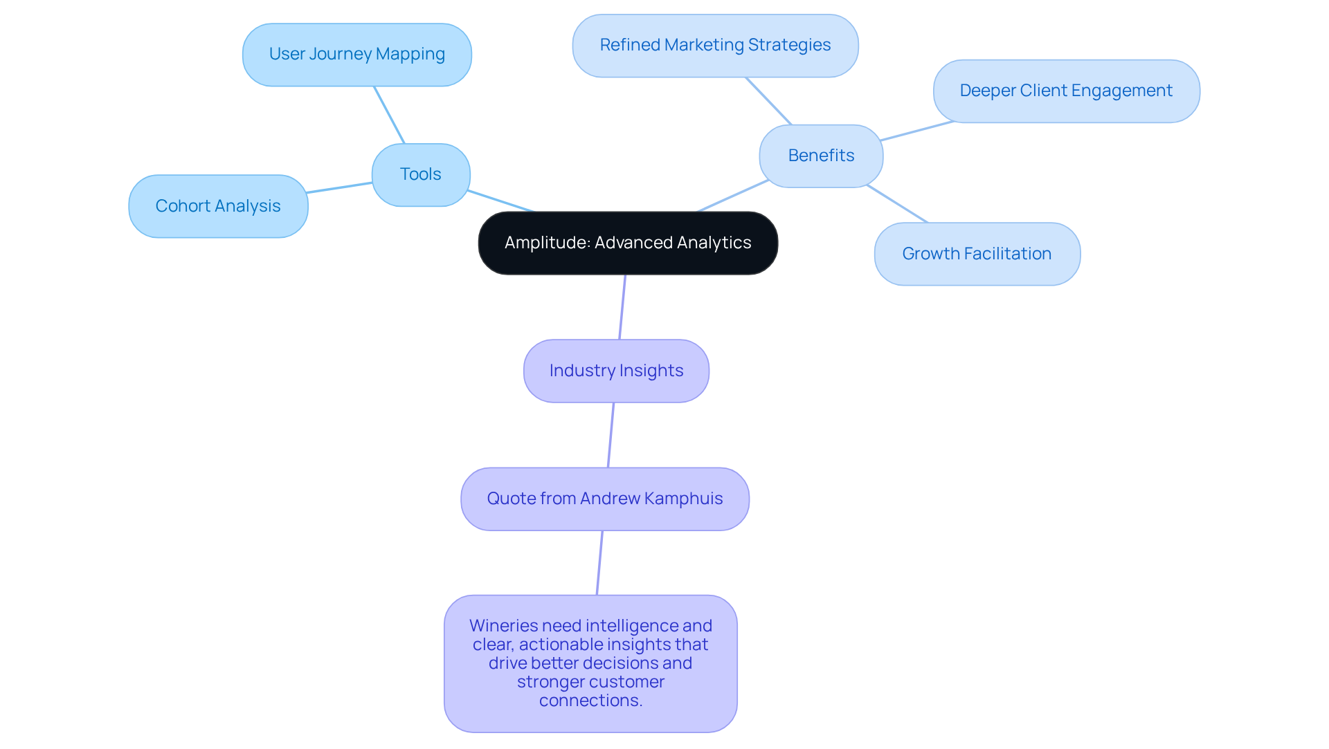The central node represents Amplitude's analytics focus, and the branches show the tools, benefits, and insights that contribute to enhancing customer engagement and decision-making.