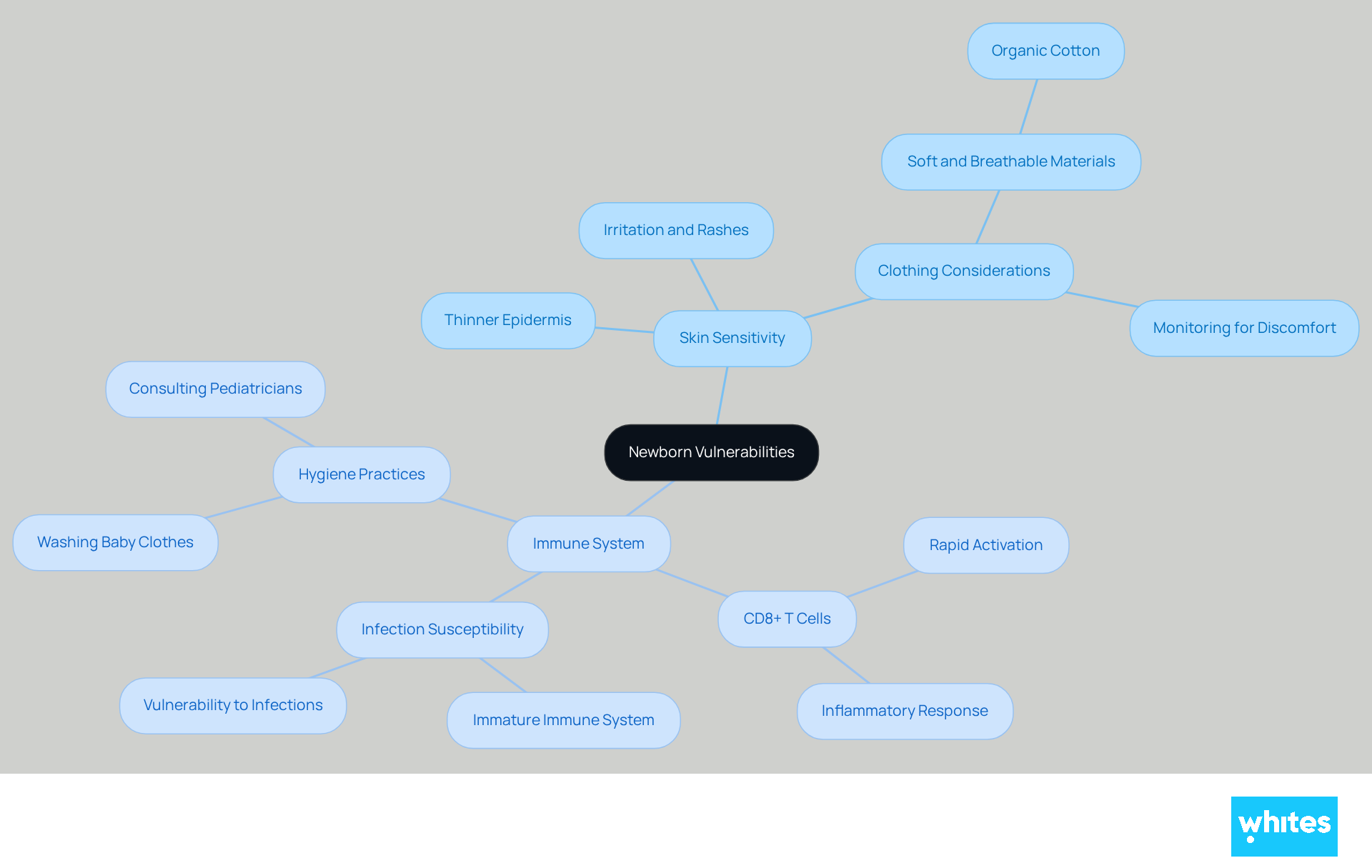 2. Understand Newborn Vulnerabilities: Skin and Immune System