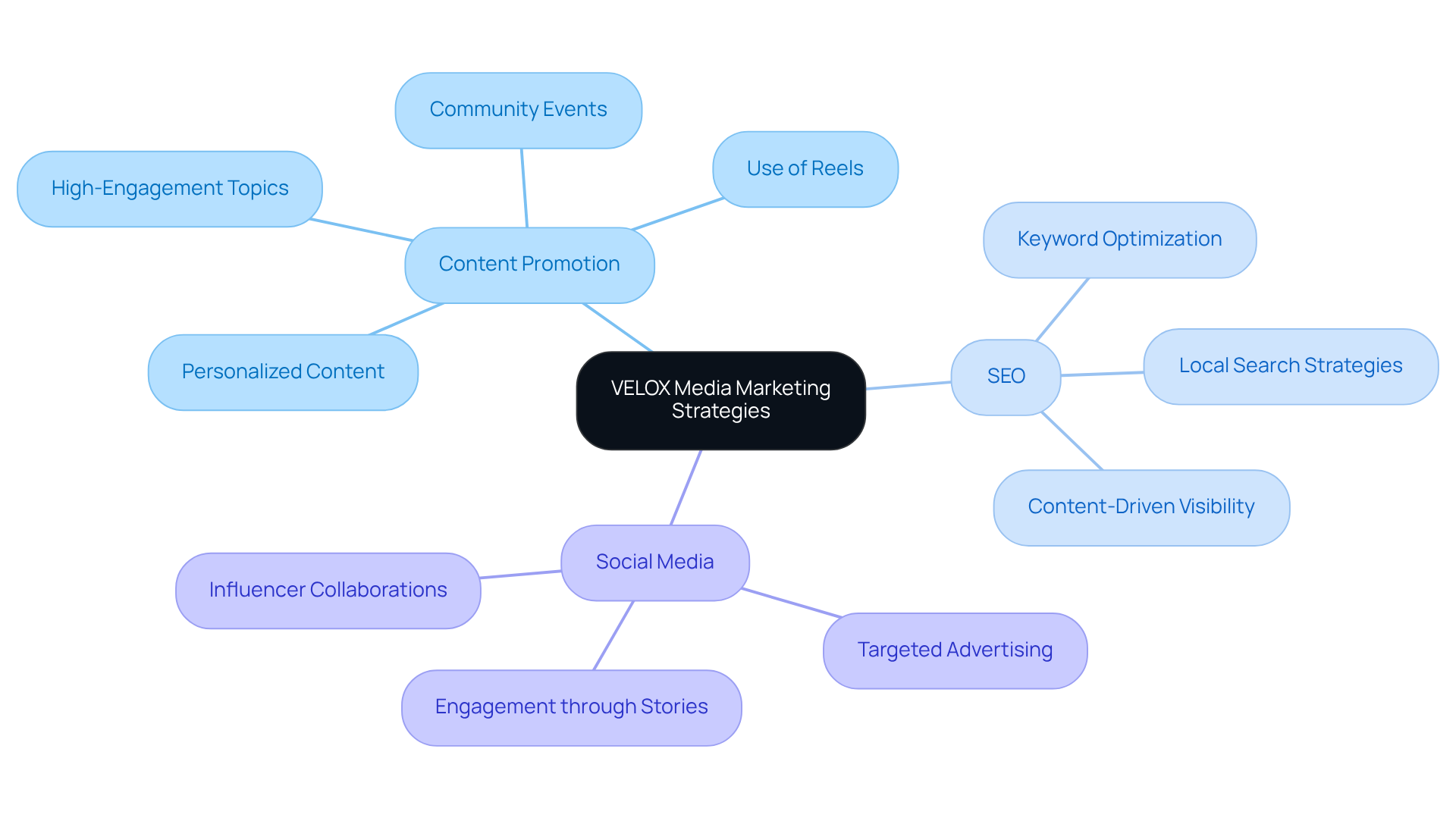 The center represents VELOX Media's overall approach, while the branches show the key strategies they use. Each sub-branch provides more detail on how these strategies work together to help wellness brands succeed.