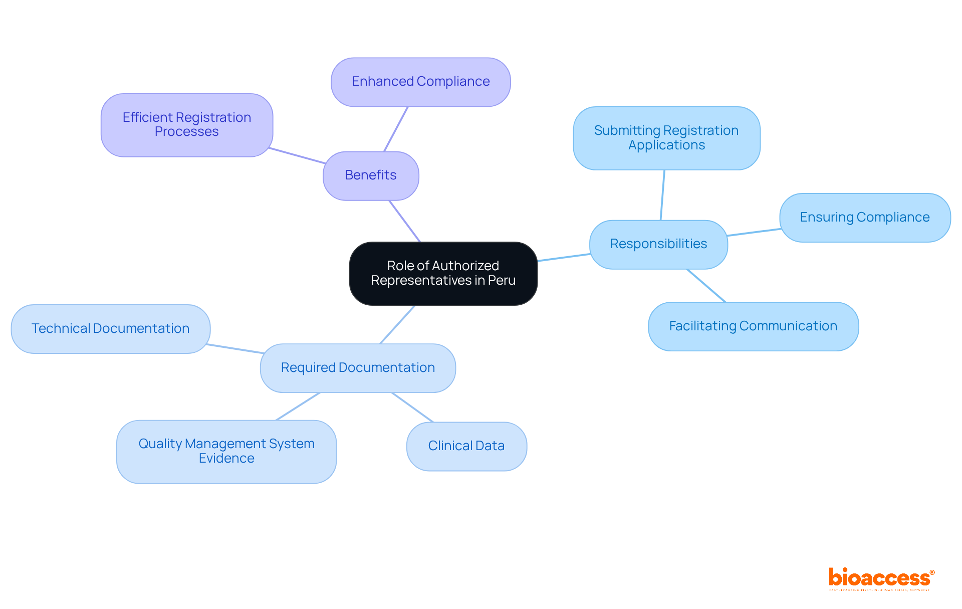 The central node represents the main topic, while branches show the key responsibilities, required documents, and benefits of having an Authorized Representative. Follow the branches to see how each aspect connects to the overall role.