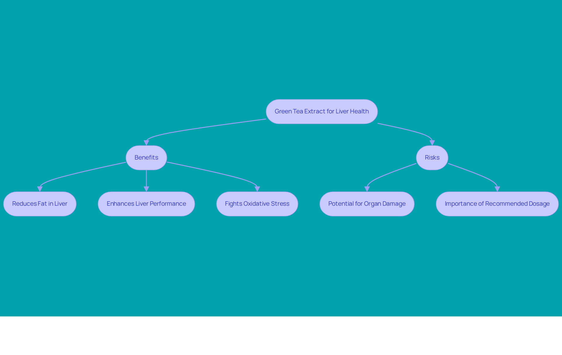 Follow the flow from benefits to risks. The benefits show how green tea extract can help your liver, while the risks remind you to be cautious and consult a healthcare professional.