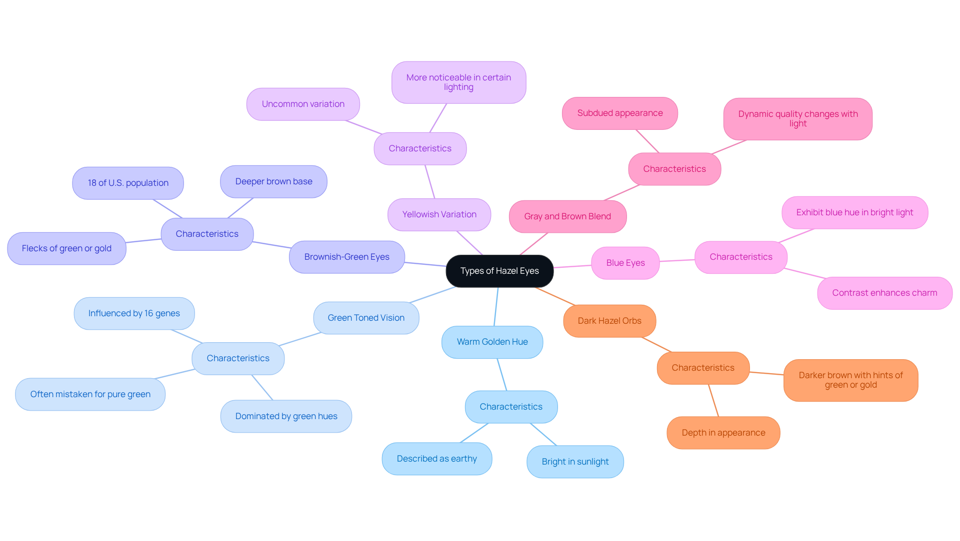 This mindmap illustrates the different types of hazel eyes. Each branch represents a unique variation, and the sub-branches provide details about their characteristics. Follow the branches to discover the beauty and diversity of hazel eyes! This mindmap illustrates the different types of hazel eyes. Each branch represents a unique variation, and the sub-branches provide details about their characteristics. Follow the branches to discover the beauty and diversity of hazel eyes!