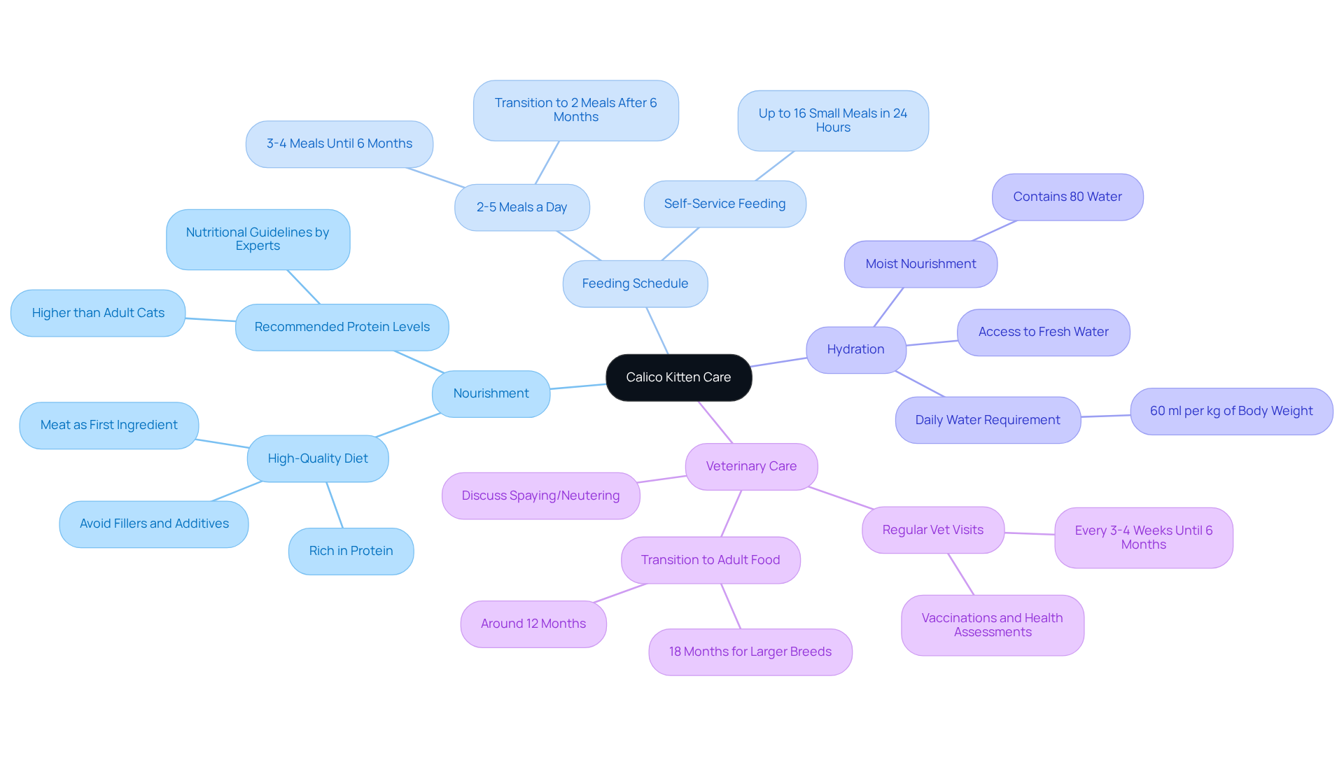 The central node shows the overall care topic, with branches detailing specific areas of focus. Each color-coded branch helps you see at a glance what you need to consider for your kitten's health.