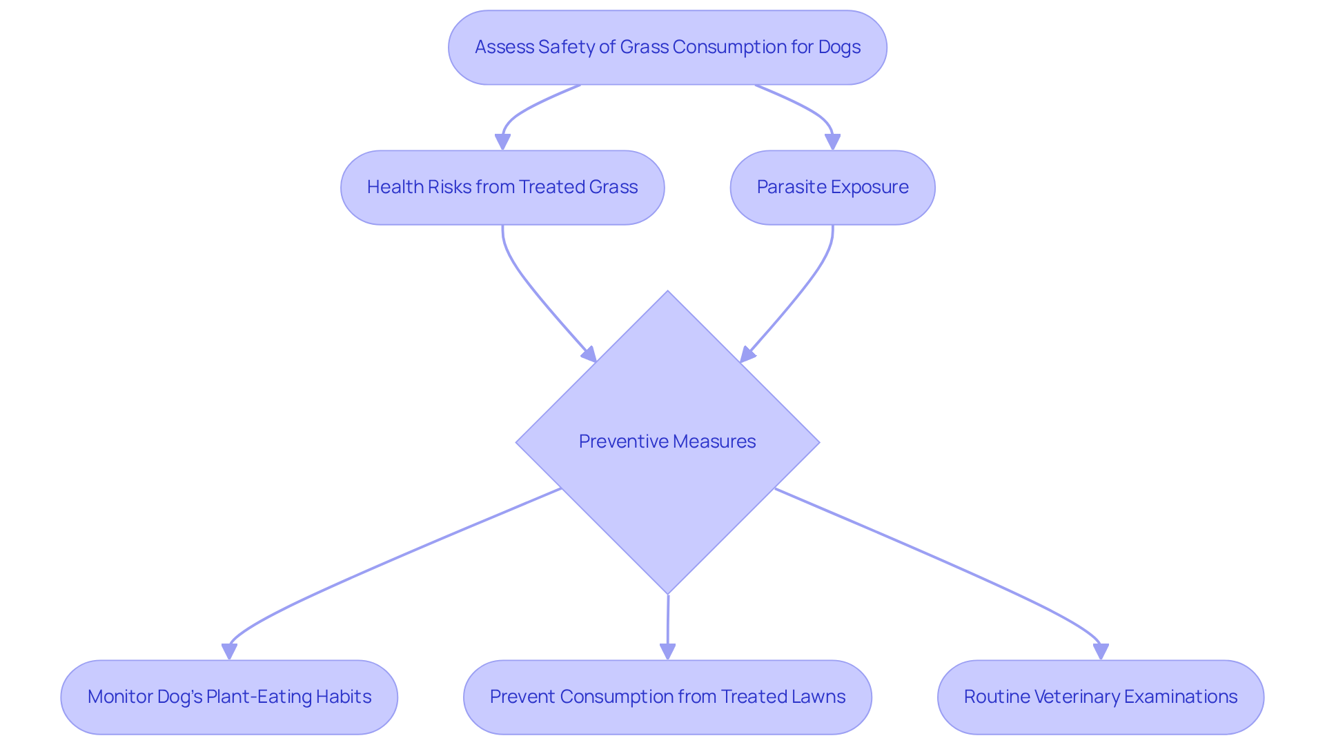 Follow the flow from assessing risks to taking preventive measures. Each step helps ensure your dog's safety when it comes to eating grass.