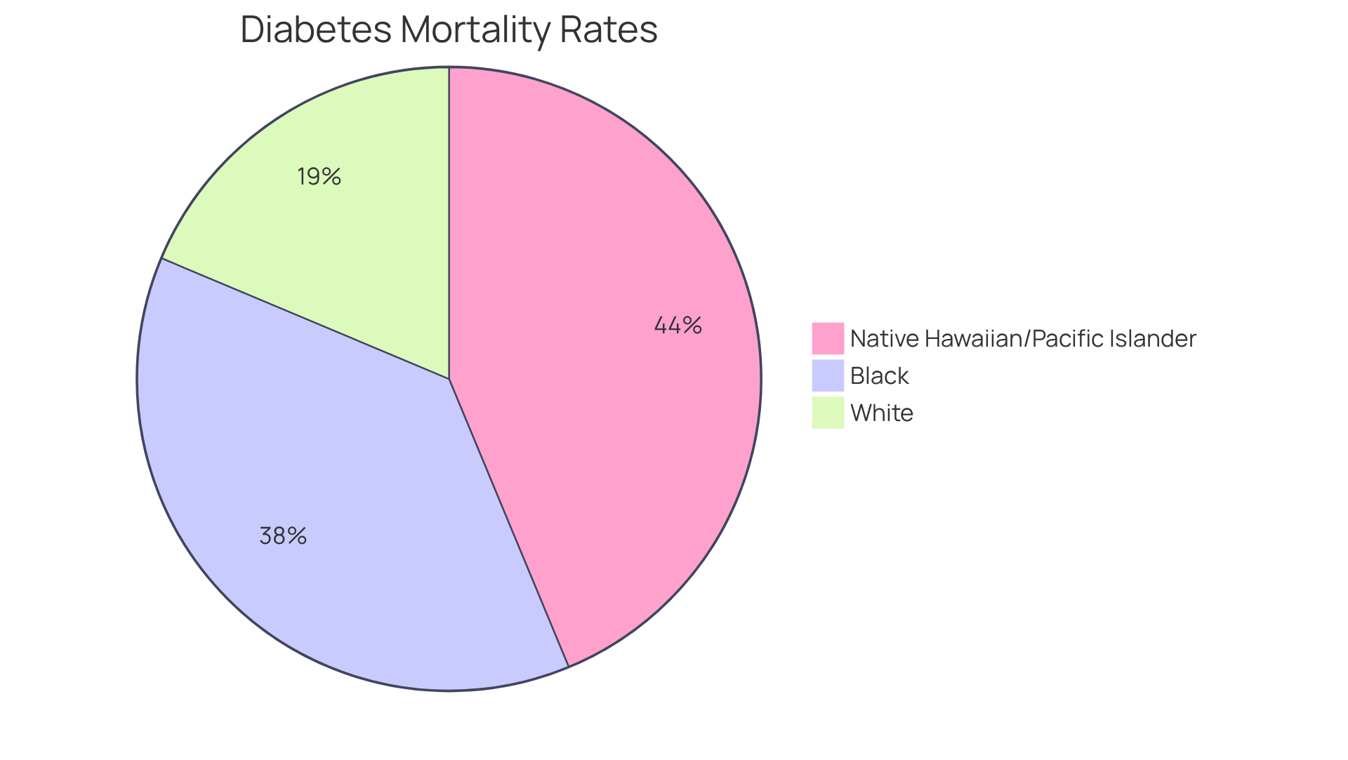 Each slice of the pie represents the mortality rate for each demographic group — the larger the slice, the higher the mortality rate, indicating disparities in health outcomes that need attention.