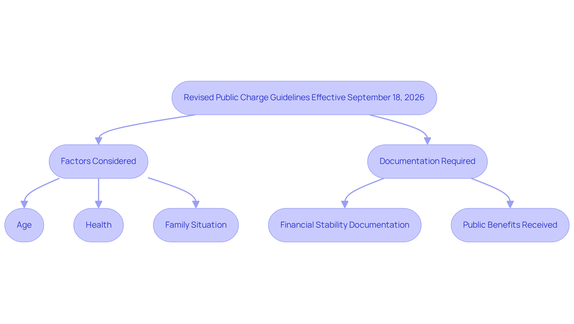 This flowchart outlines the steps and factors involved in the new public charge guidelines. Start at the top with the effective date, then follow the arrows to see what factors will be considered and what documentation you need to prepare.