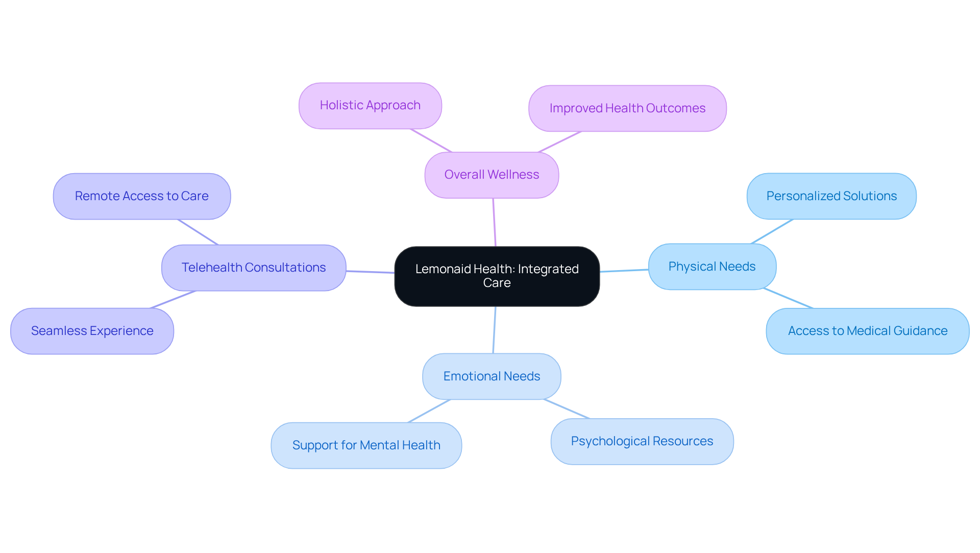 The central node represents Lemonaid Health's commitment to integrated care. Each branch shows a key area of focus, illustrating how they work together to support your health journey.