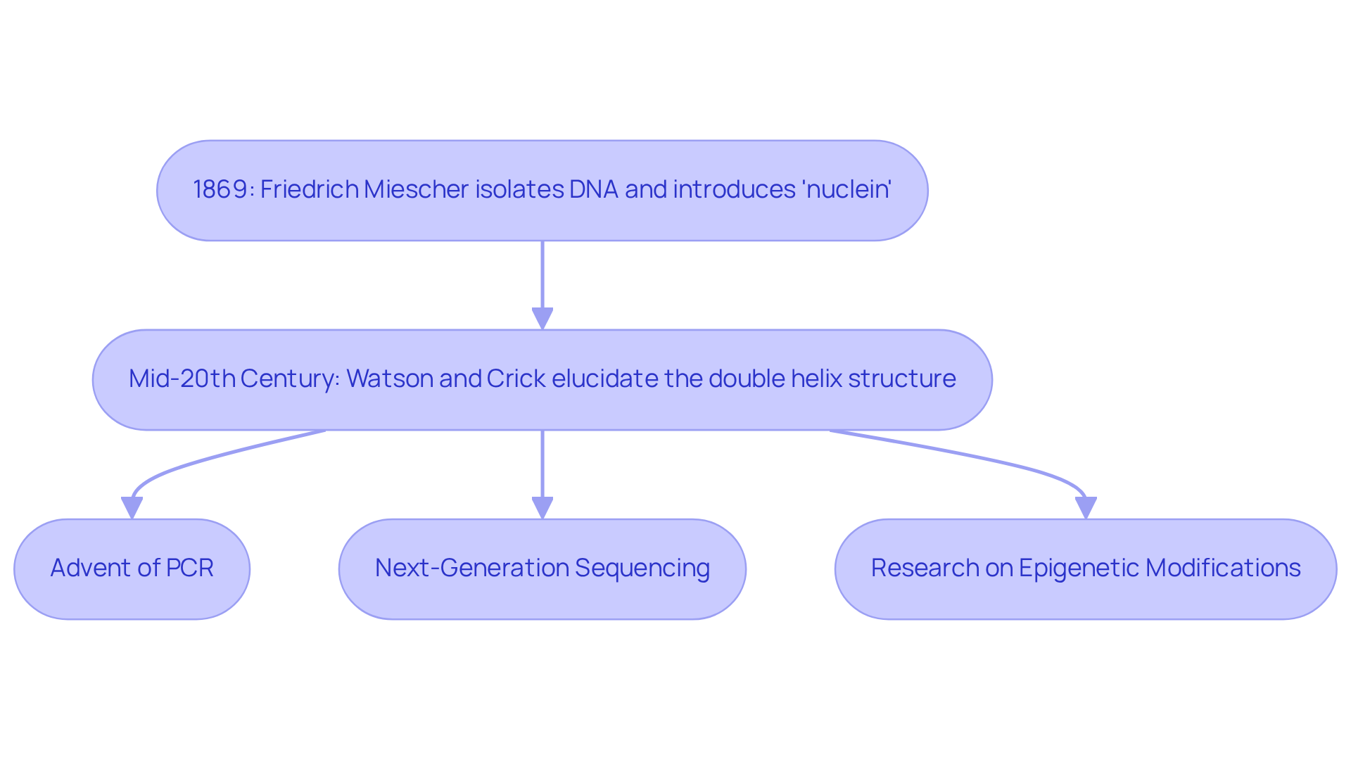 Each box represents a significant milestone in the understanding of DNA. Follow the arrows to see how each discovery builds on the previous one, leading to modern advancements in genetics.