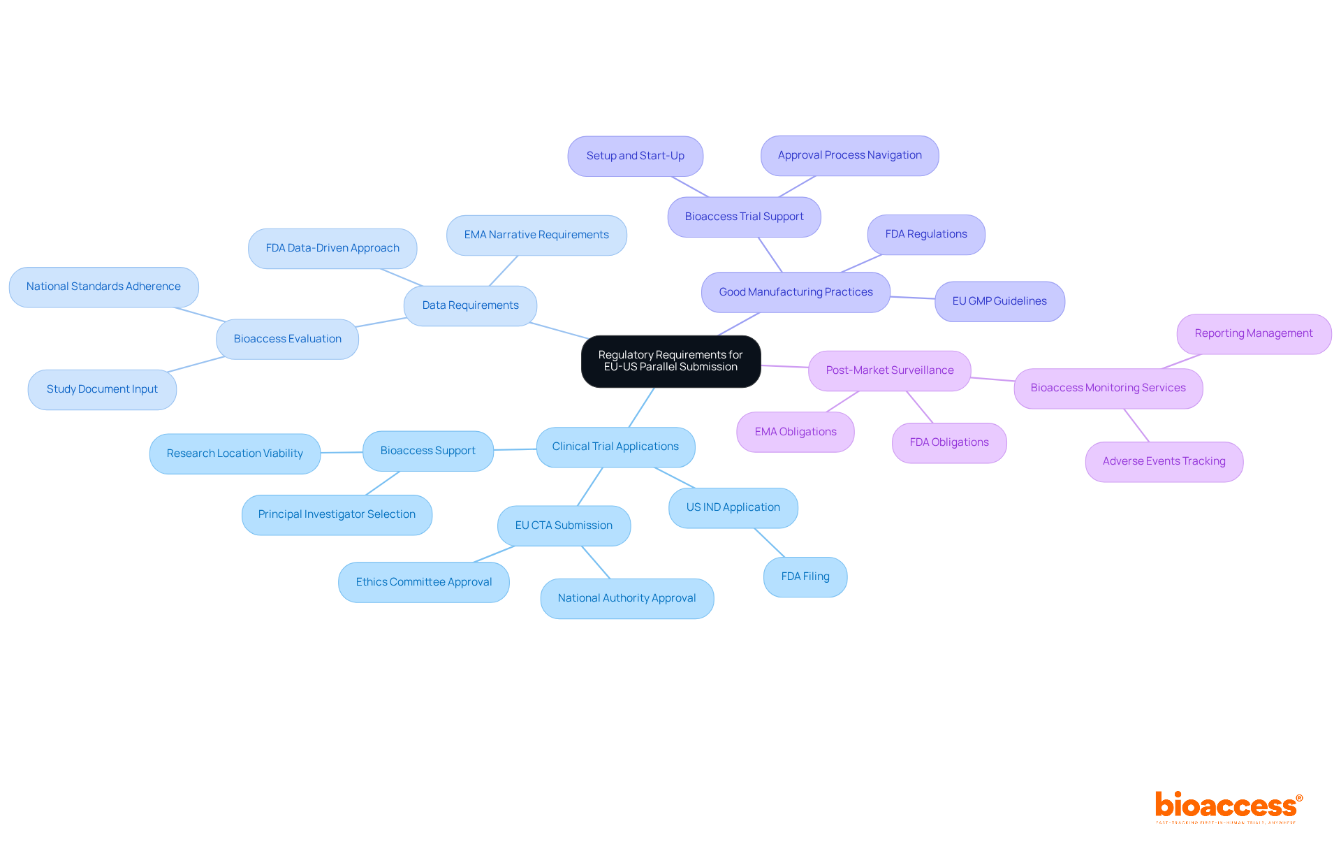 The center represents the overall theme of regulatory requirements. Each branch shows a key area of focus, with further details branching out to explain specific requirements and processes. This helps you visualize how each aspect connects to the central theme.