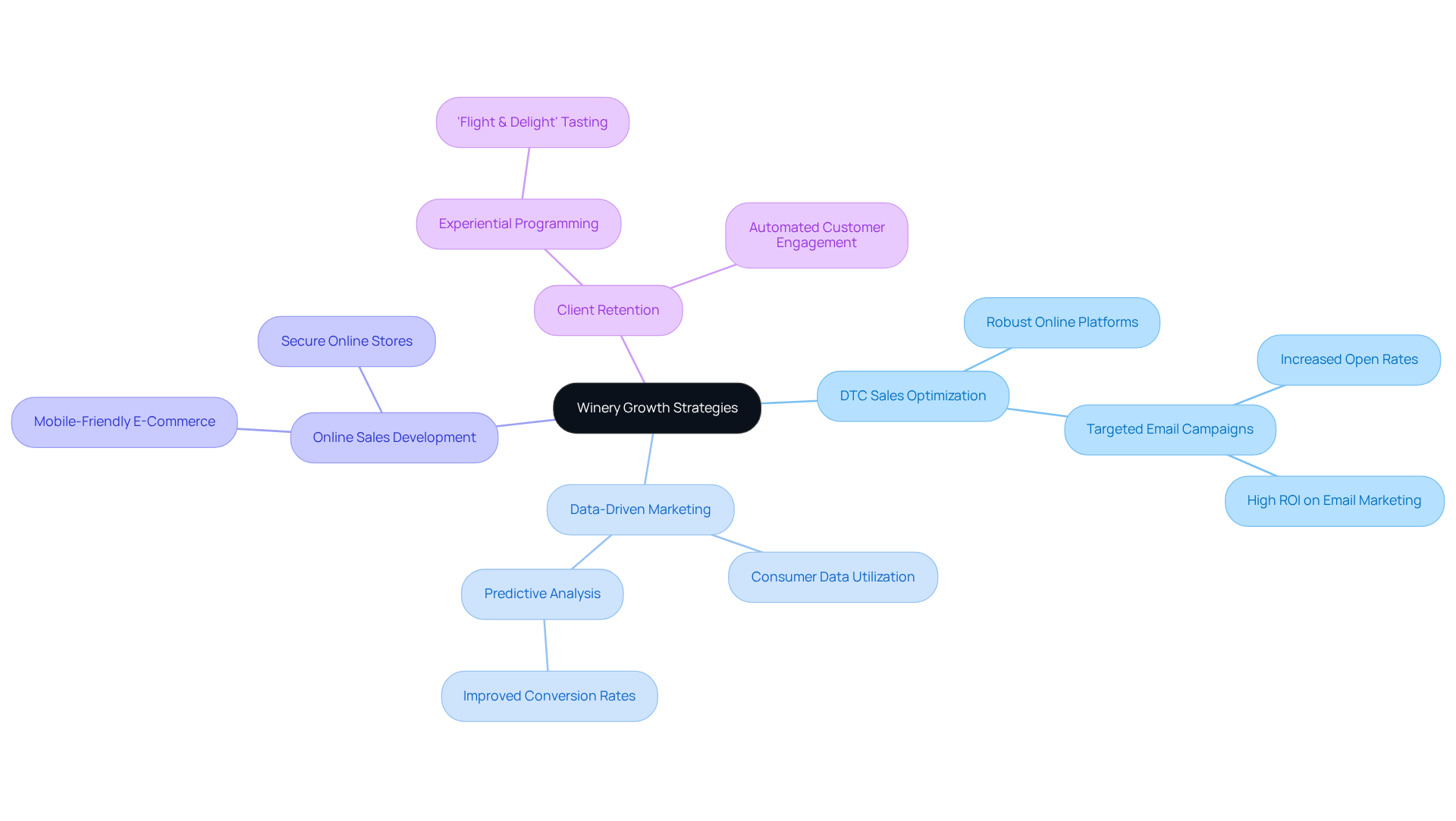 The center represents the overall goal of sustainable growth, while the branches show specific strategies and tactics that contribute to this goal. Each color-coded branch highlights different areas of focus, making it easy to understand how they connect.