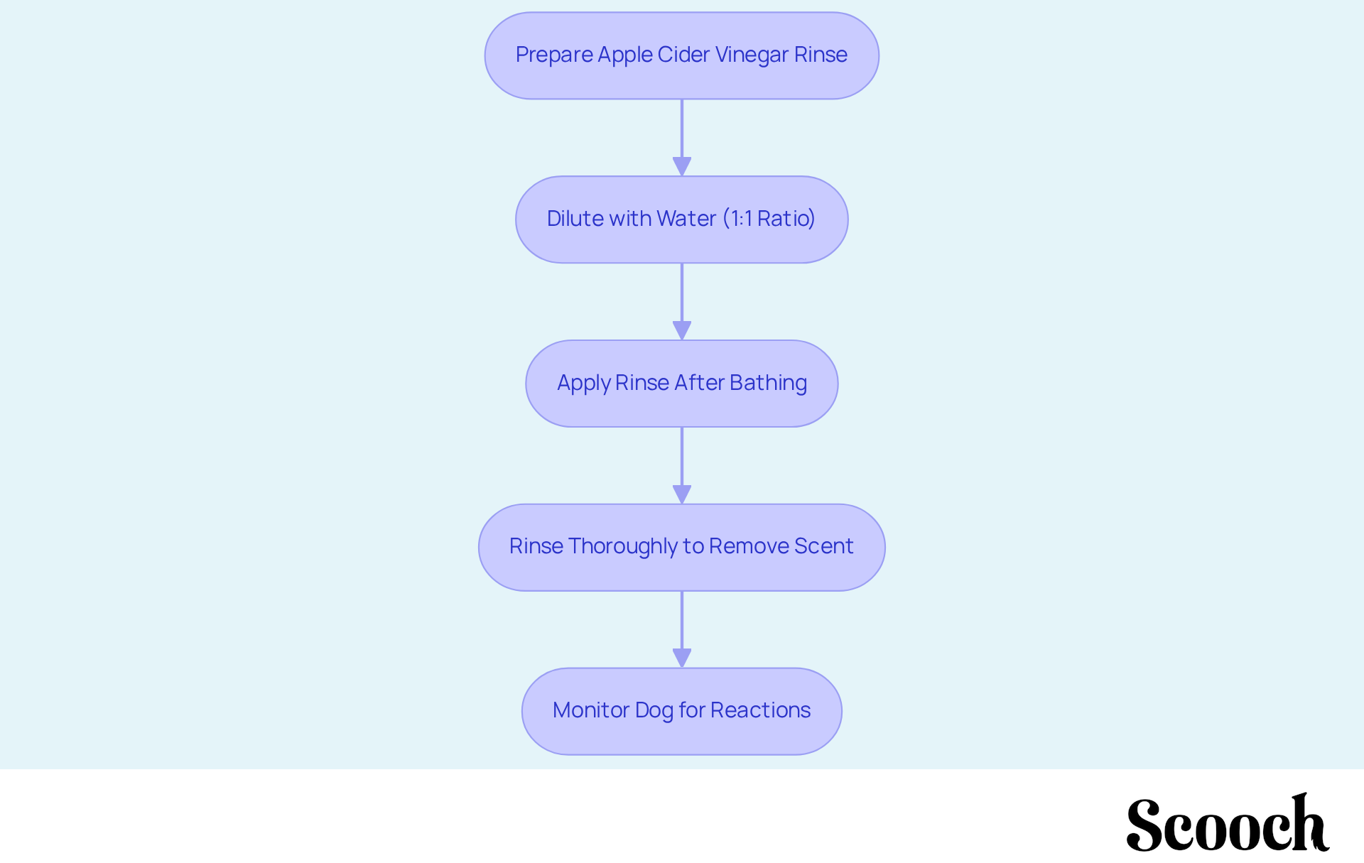 10 Home Remedies for Hair Loss in Dogs Every Owner Should Try