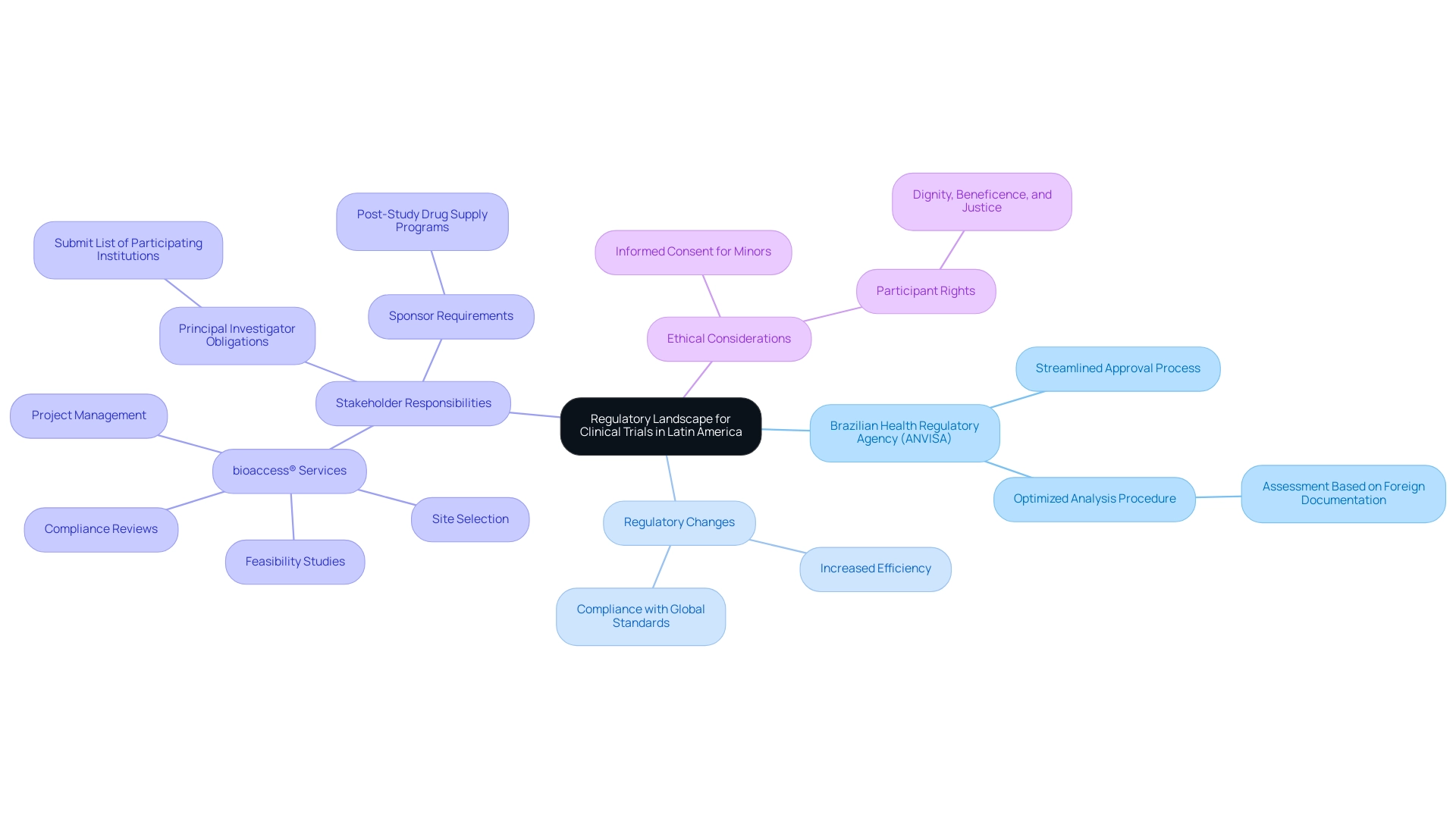 The central node represents the overall regulatory landscape, with branches indicating key areas and their respective subcategories, distinguished by color for clarity.