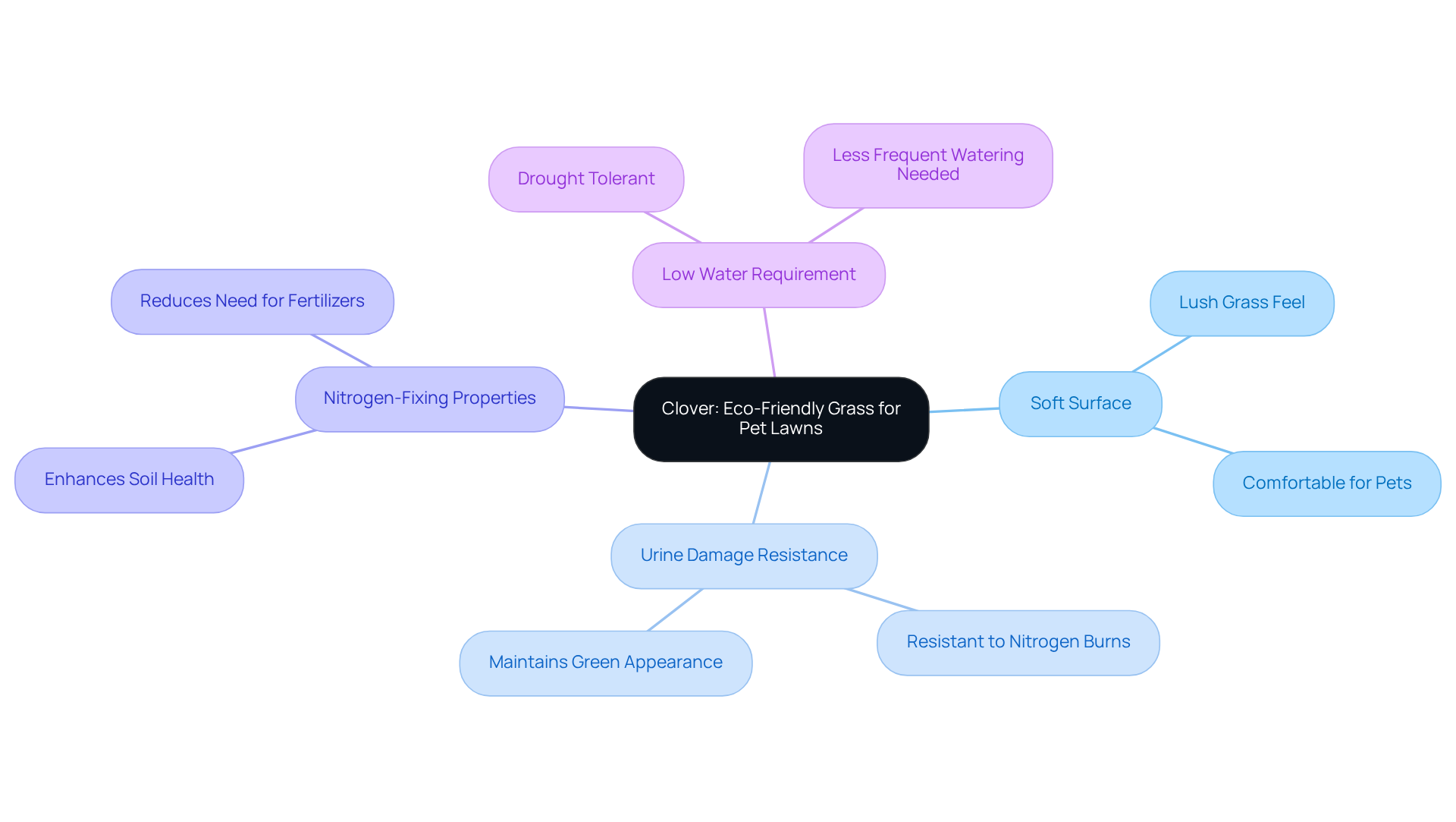 The central node represents clover as a grass choice, and each branch shows a specific benefit. The more branches you see, the more advantages clover offers for pet owners! The central node represents clover as a grass choice, and each branch shows a specific benefit. The more branches you see, the more advantages clover offers for pet owners!
