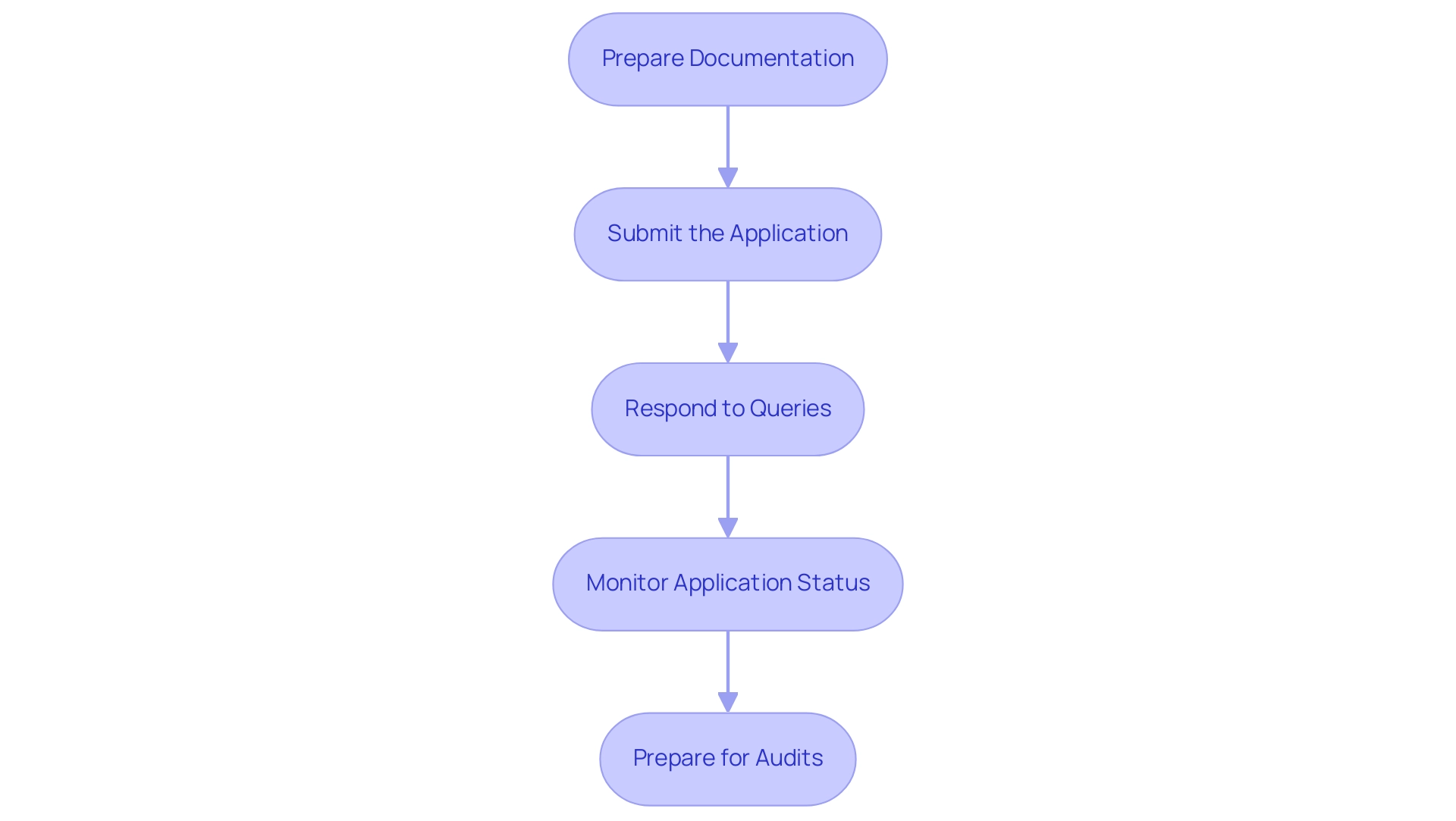 Each box represents a step in the approval process, with arrows indicating the sequence. Colors denote different categories of actions (preparation, submission, response, monitoring, auditing).