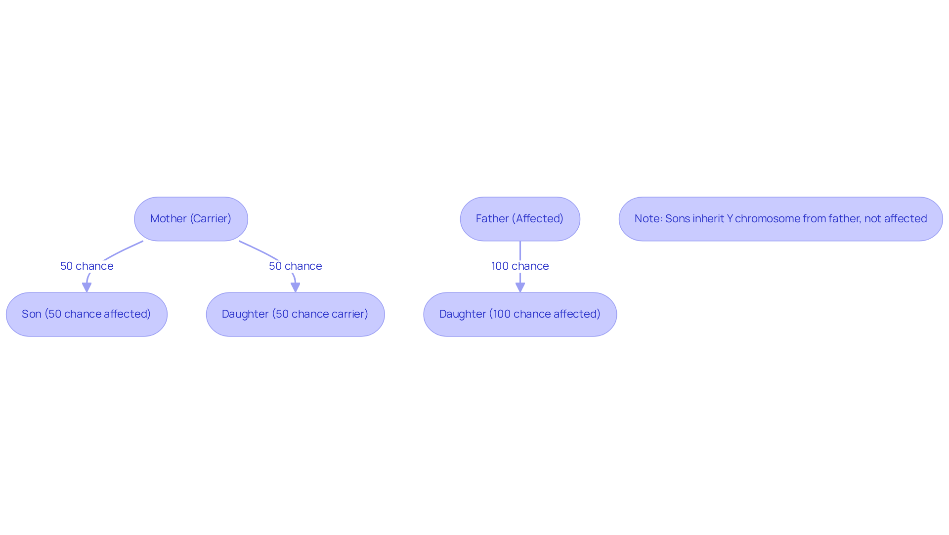 This flowchart shows how hemophilia A is inherited. The mother can pass the gene to her sons (who may be affected) and daughters (who may be carriers), while the father passes the affected gene to all daughters but none of the sons.