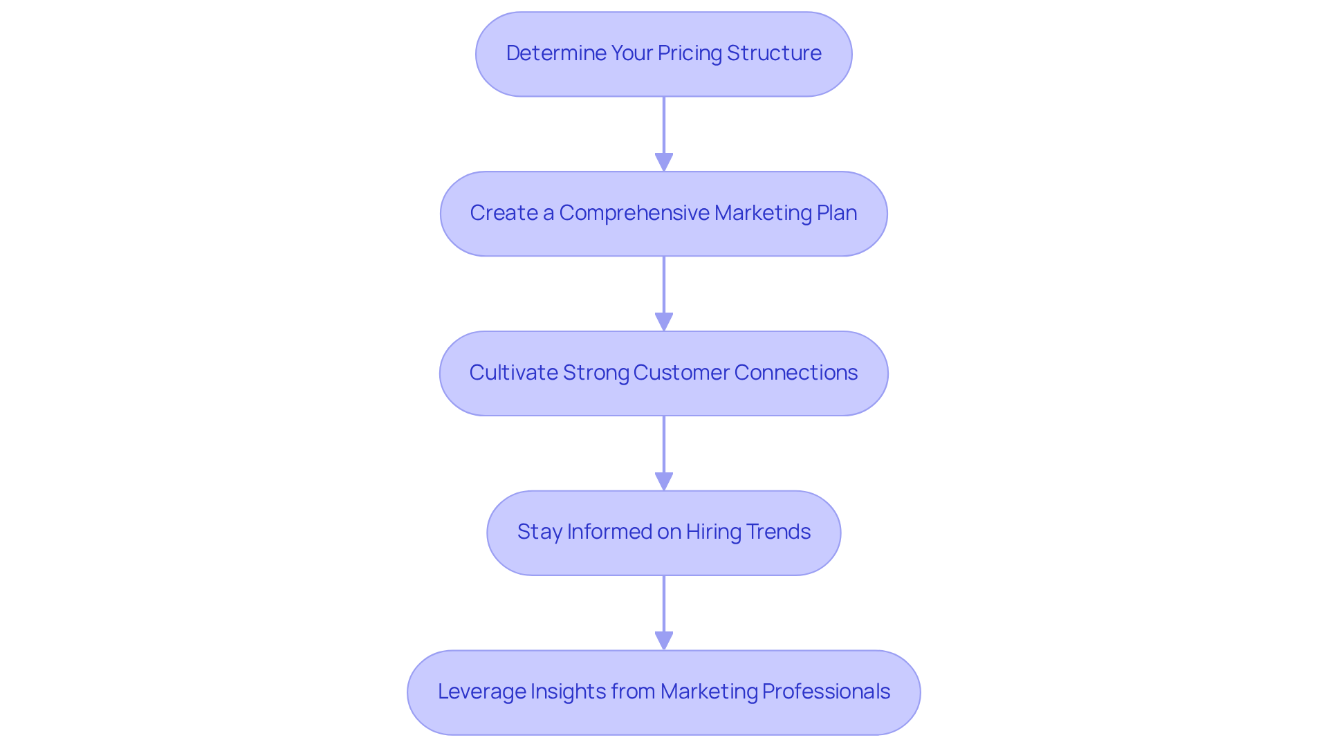 Each box represents a key strategy. Follow the arrows to see the recommended order of implementation for improving your business's pricing and marketing efforts.