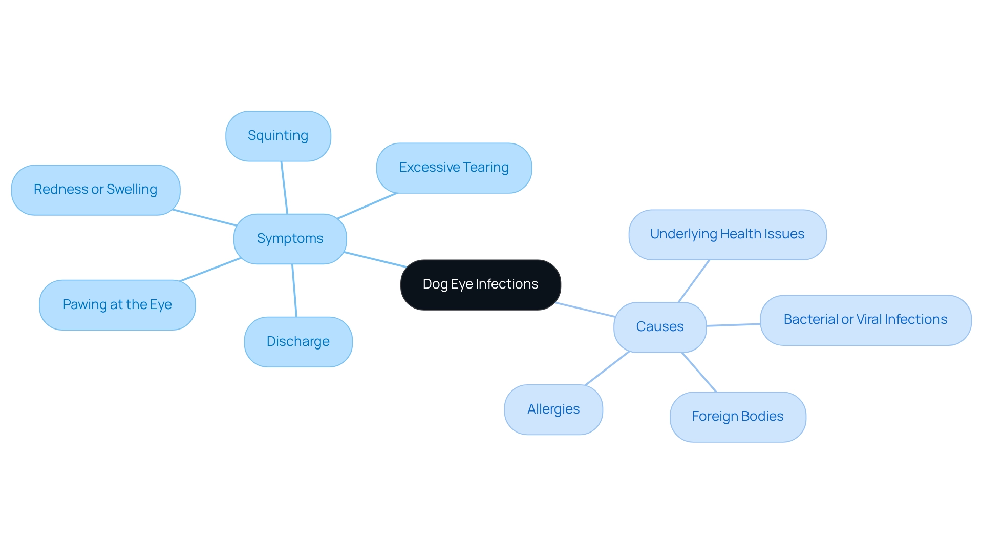The center shows the main topic of dog eye infections. Follow the branches to see symptoms and causes — each symptom and cause is listed as a sub-point, helping you understand what to look for and what might be causing the infection.