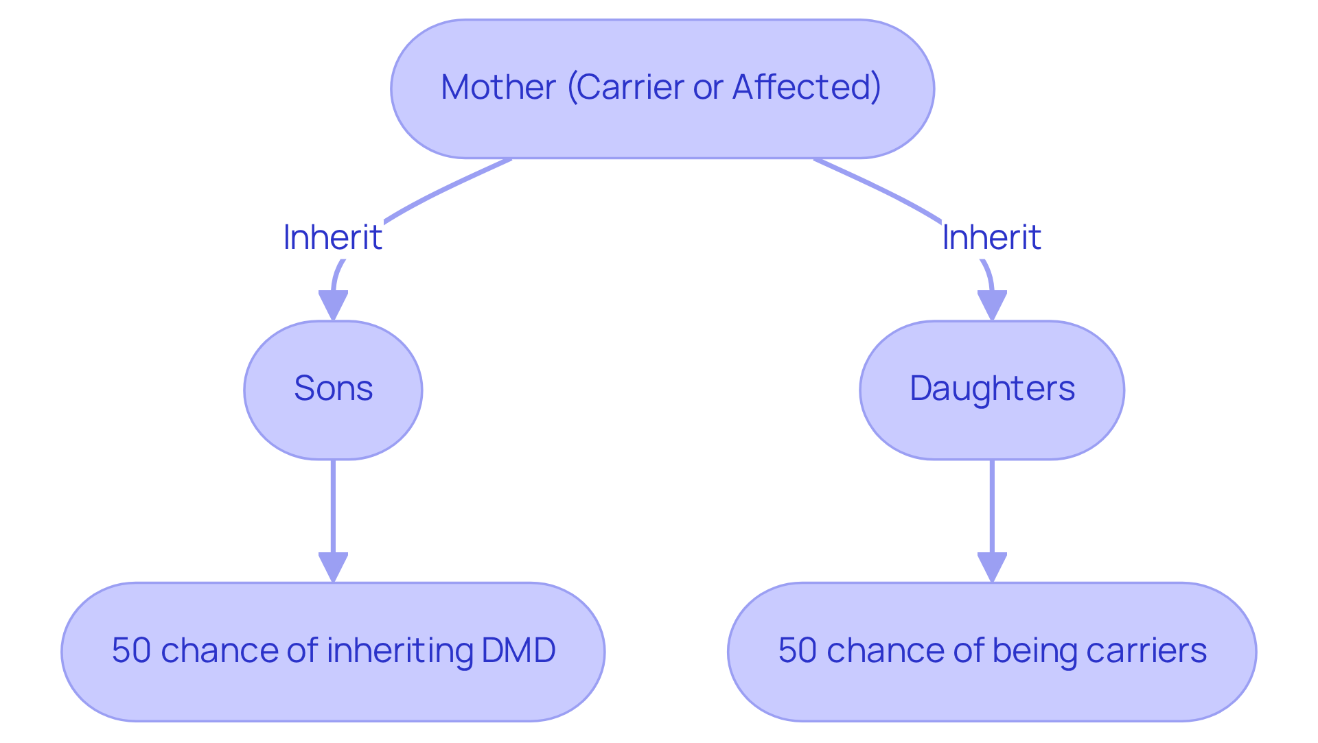 This flowchart illustrates how DMD is inherited from mothers to their children. The boxes represent the mother and her sons and daughters, with arrows showing the chances of inheriting the condition or being a carrier. The blue boxes represent sons who may inherit DMD, while the pink boxes represent daughters who may be carriers. This flowchart illustrates how DMD is inherited from mothers to their children. The boxes represent the mother and her sons and daughters, with arrows showing the chances of inheriting the condition or being a carrier. The blue boxes represent sons who may inherit DMD, while the pink boxes represent daughters who may be carriers.