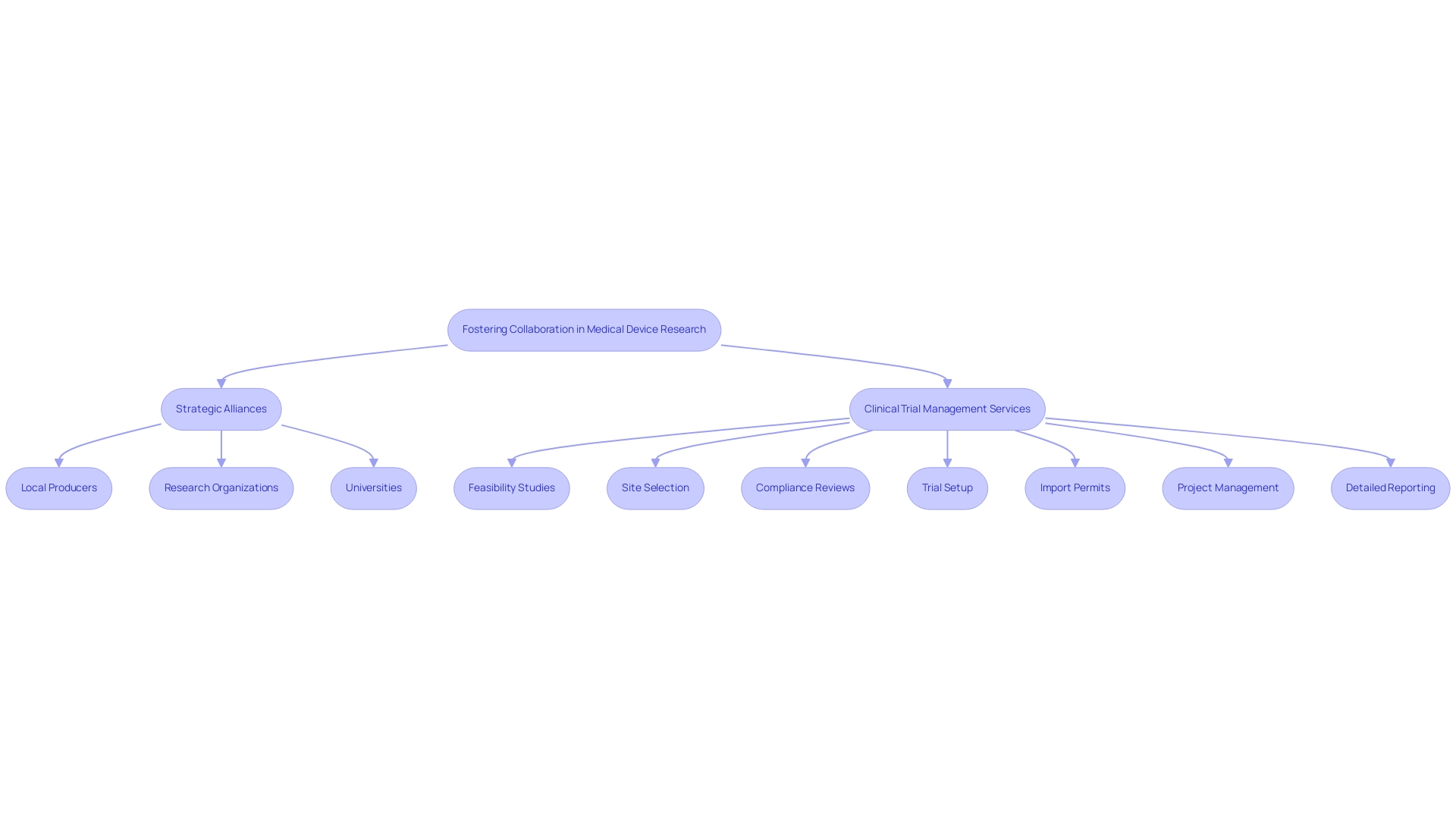 Arrows indicate the flow of processes. Blue boxes represent strategic alliances; green boxes represent clinical trial management services.