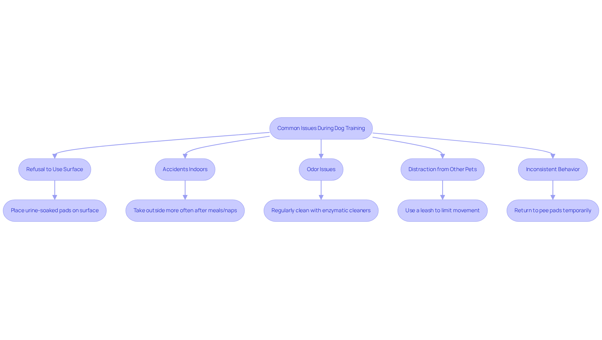 This flowchart helps you visualize common challenges in training your dog to use fake grass for potty needs. Each box shows a specific issue, and the arrows lead you to the suggested solution, making it easy to follow and implement. This flowchart helps you visualize common challenges in training your dog to use fake grass for potty needs. Each box shows a specific issue, and the arrows lead you to the suggested solution, making it easy to follow and implement.