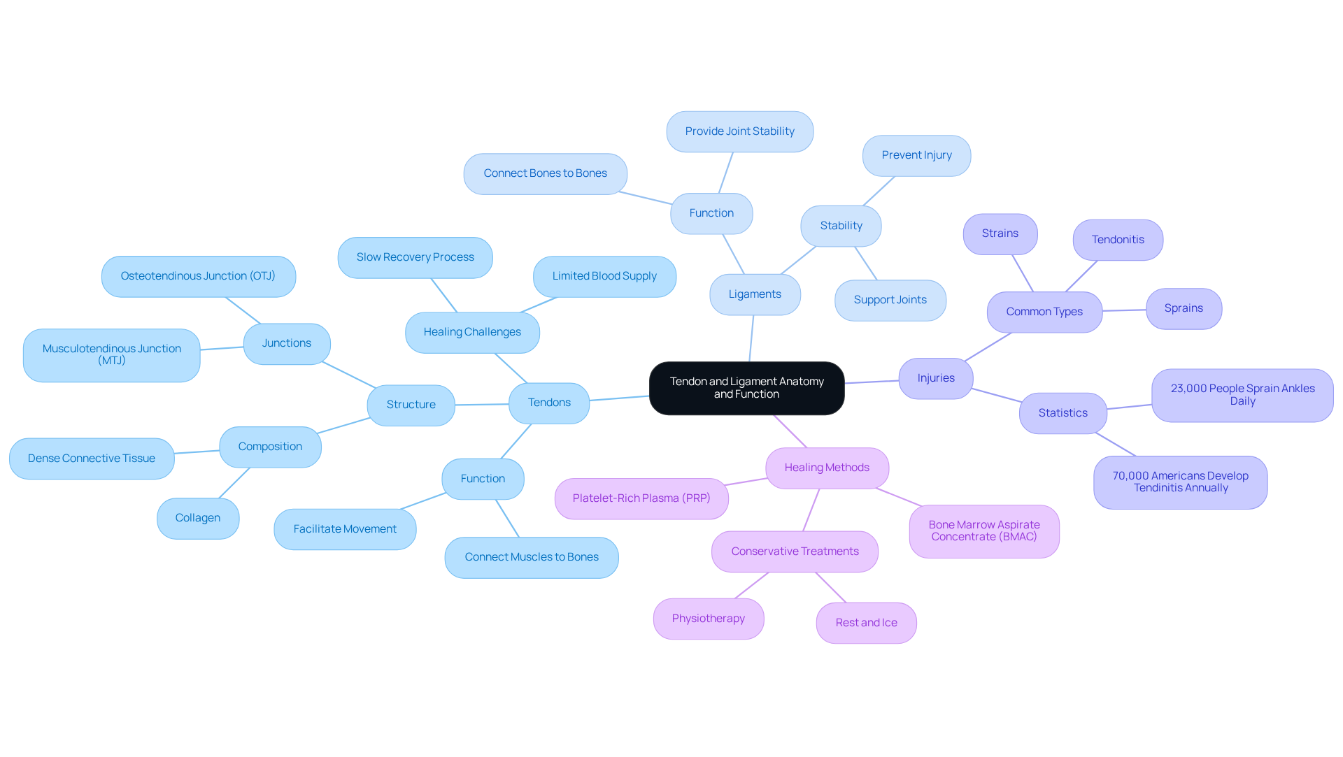 This mindmap starts with the central idea of tendon and ligament anatomy and function. Each branch represents a key area of understanding, such as how tendons connect muscles to bones and how ligaments provide joint stability. The sub-branches dive deeper into specifics like injuries and healing methods, helping you see the connections and importance of these structures in your recovery journey.