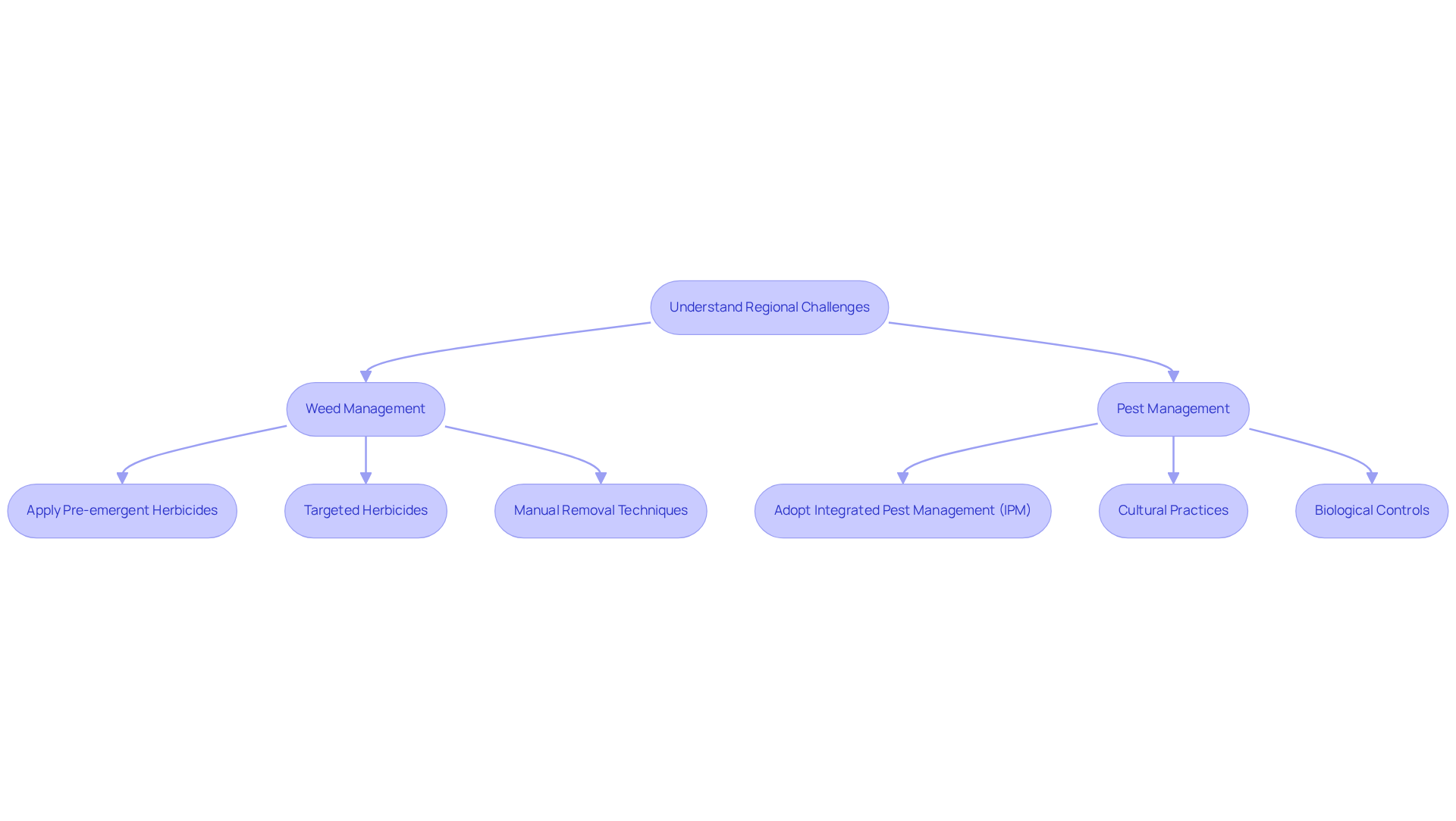 Follow the arrows to see the steps you can take for managing weeds and pests. Each box represents an action or strategy, guiding you through the process of creating a thriving outdoor space.