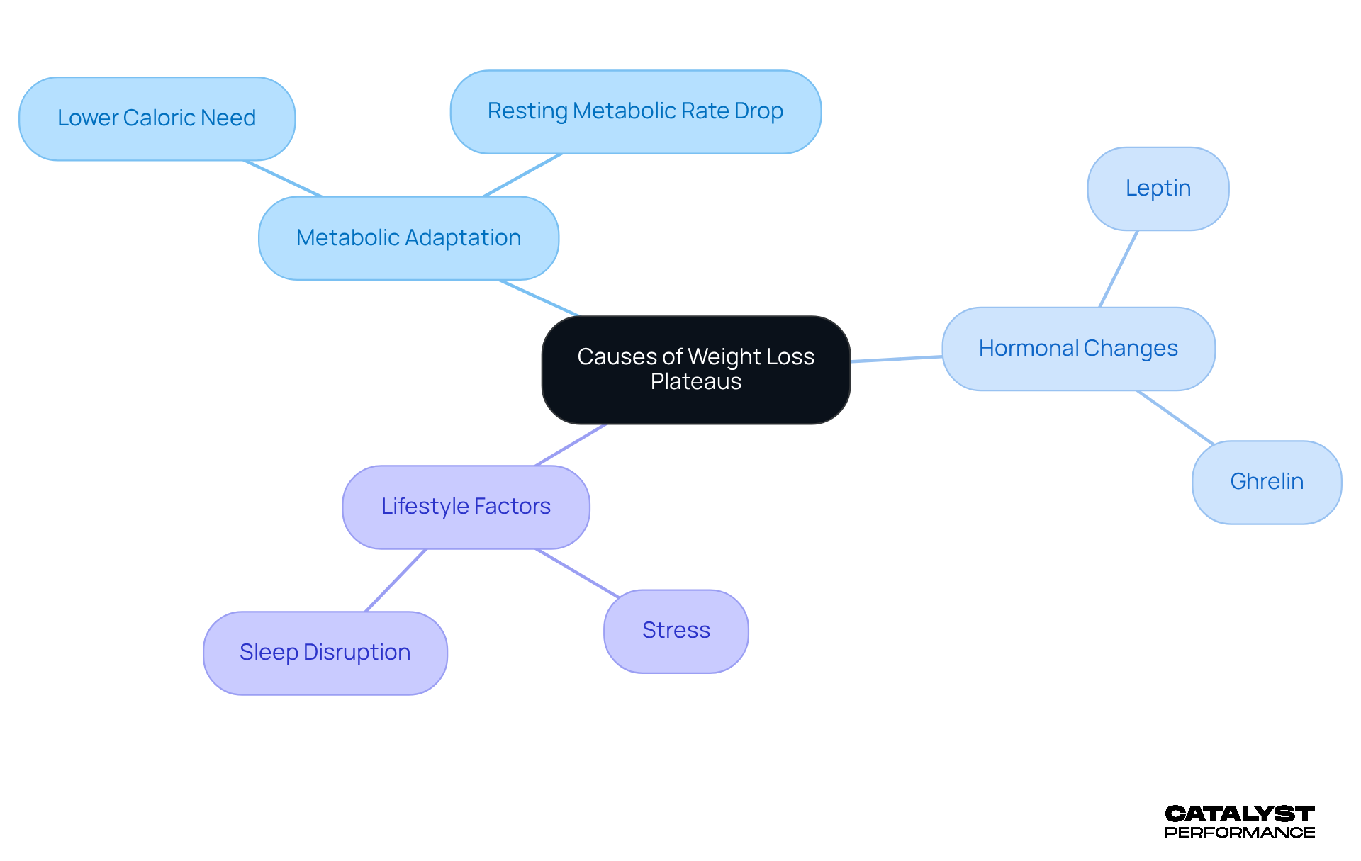 The central node represents the main topic, while the branches show different factors that contribute to weight loss plateaus. Each color-coded branch helps you see how these factors are related and what influences them. The central node represents the main topic, while the branches show different factors that contribute to weight loss plateaus. Each color-coded branch helps you see how these factors are related and what influences them.