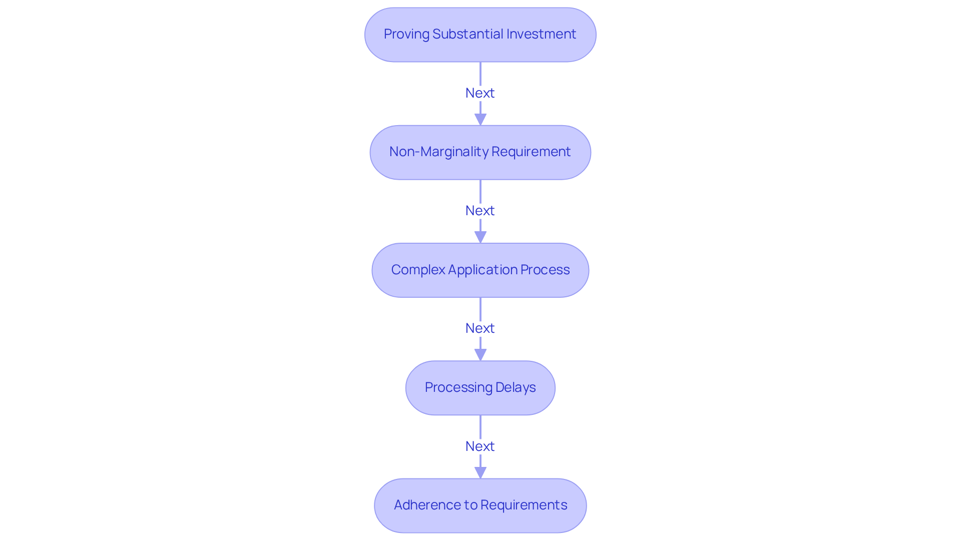 Each box represents a challenge you might face when applying for an E-2 visa. Follow the arrows to understand how these challenges connect and the order in which you should address them.