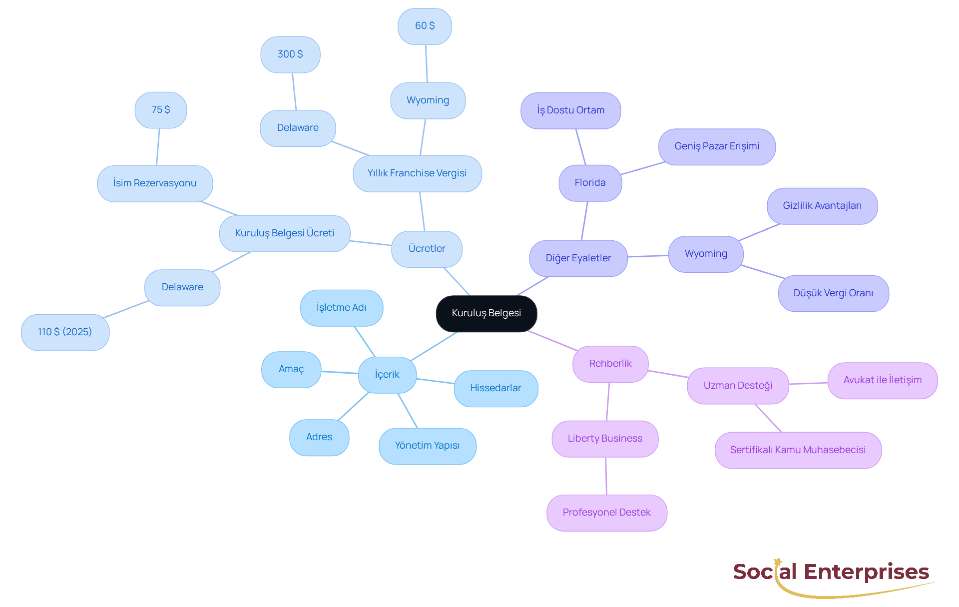 Merkezdeki ana konu 'Kuruluş Belgesi'. Dallar, bu belgenin içeriği, gereksinimleri ve diğer eyaletlerin avantajları hakkında bilgi sunuyor. Her dalda, ilgili unsurlar ve detaylar yer alıyor.