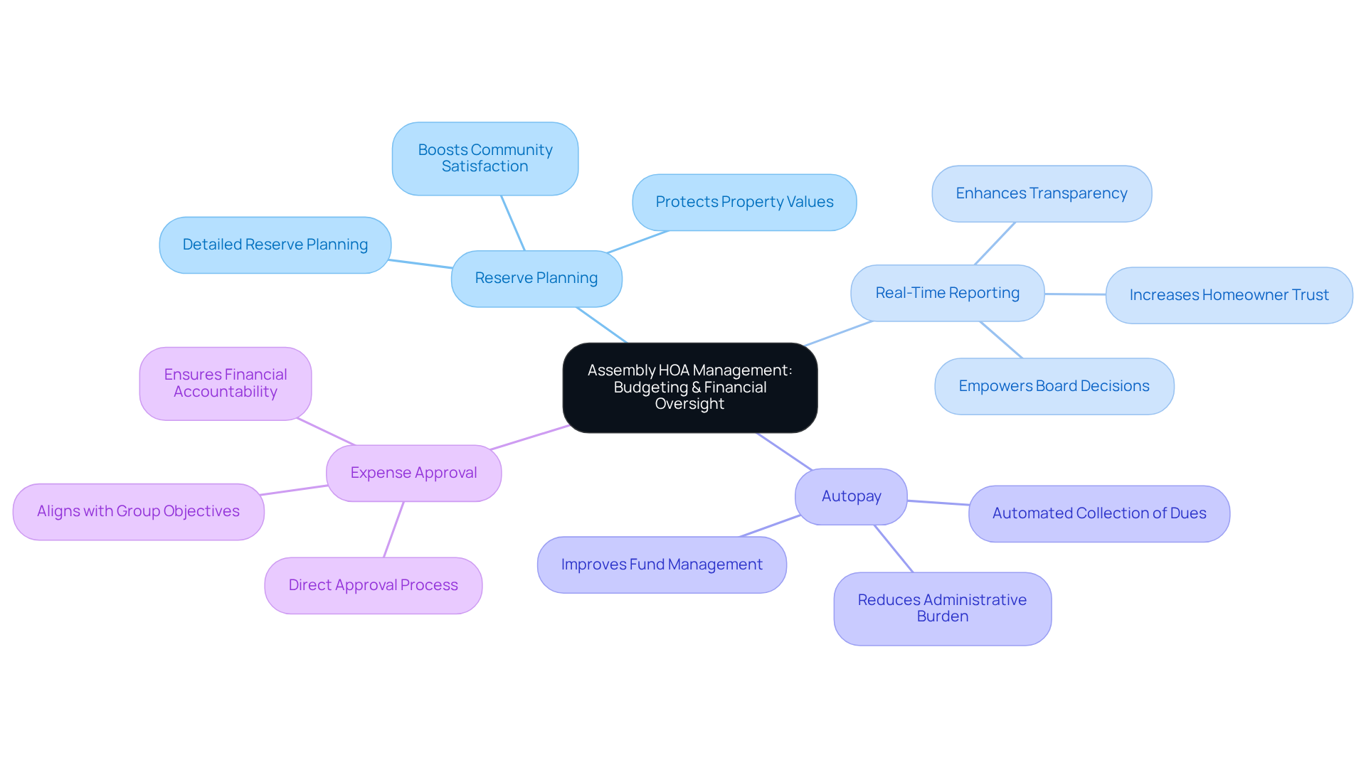 The central node represents the main focus of the management strategy, while the branches illustrate key components that contribute to effective budgeting and financial oversight. Each branch can be explored for more detailed insights.