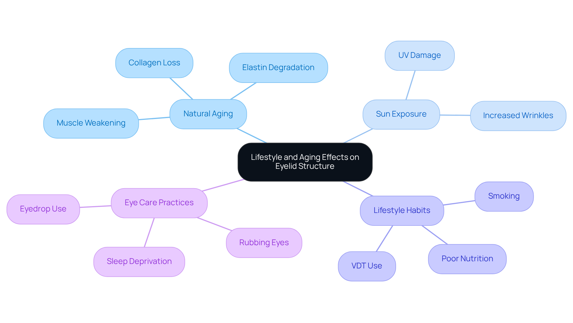 Start at the center with the main topic, then explore each branch to see how different factors affect eyelid appearance. Each color represents a different category of influence, helping you understand the connections between lifestyle choices and aging.
