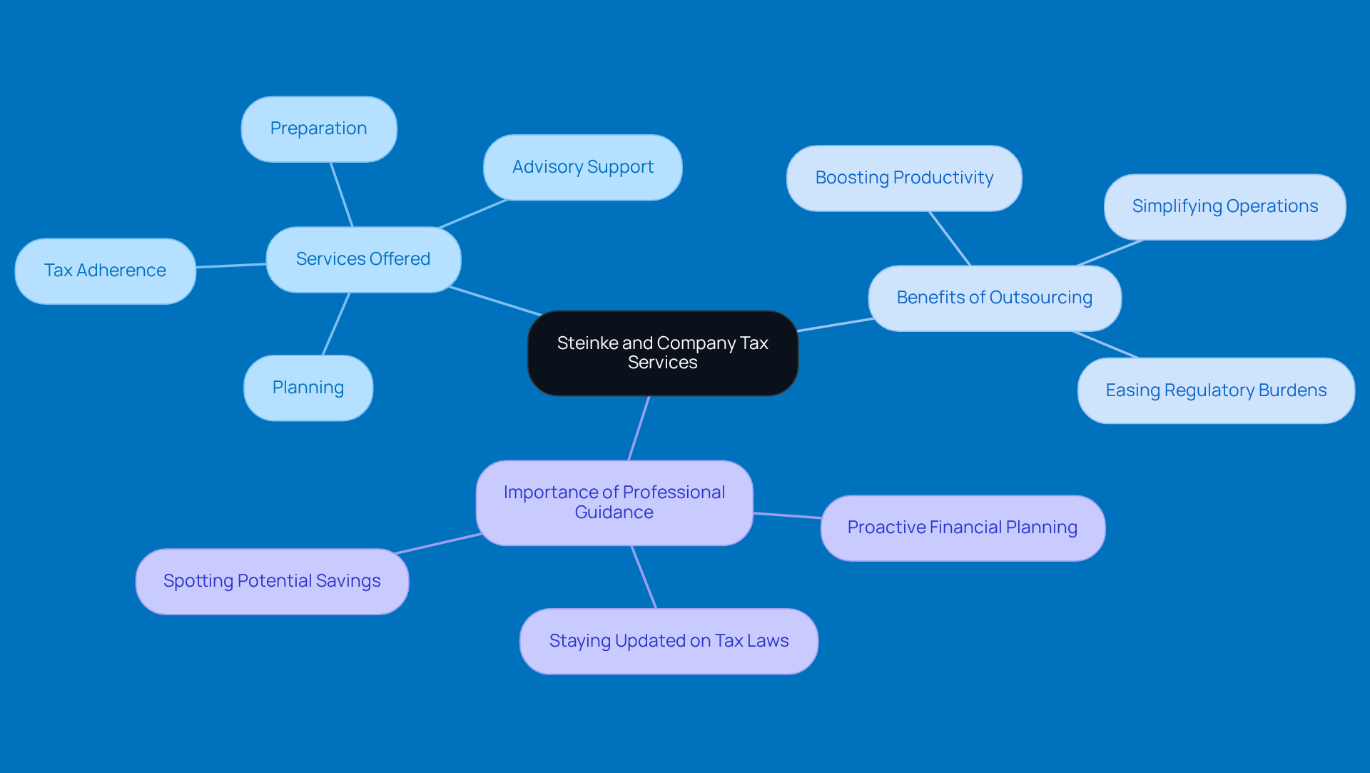 The central node represents Steinke and Company's focus on tax services. Each branch shows different aspects of their offerings and the benefits for rural businesses, helping you understand how they support their clients.