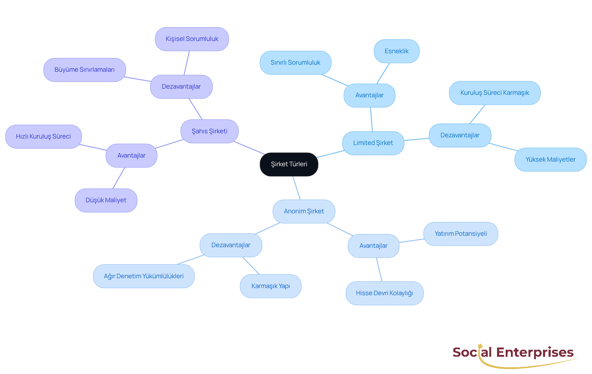 Merkezde 'Şirket Türleri' var. Dallara baktığınızda, her bir şirket türünün avantajları ve dezavantajları hakkında bilgi bulacaksınız. Renkler, her türü ayırt etmek için kullanıldı.
