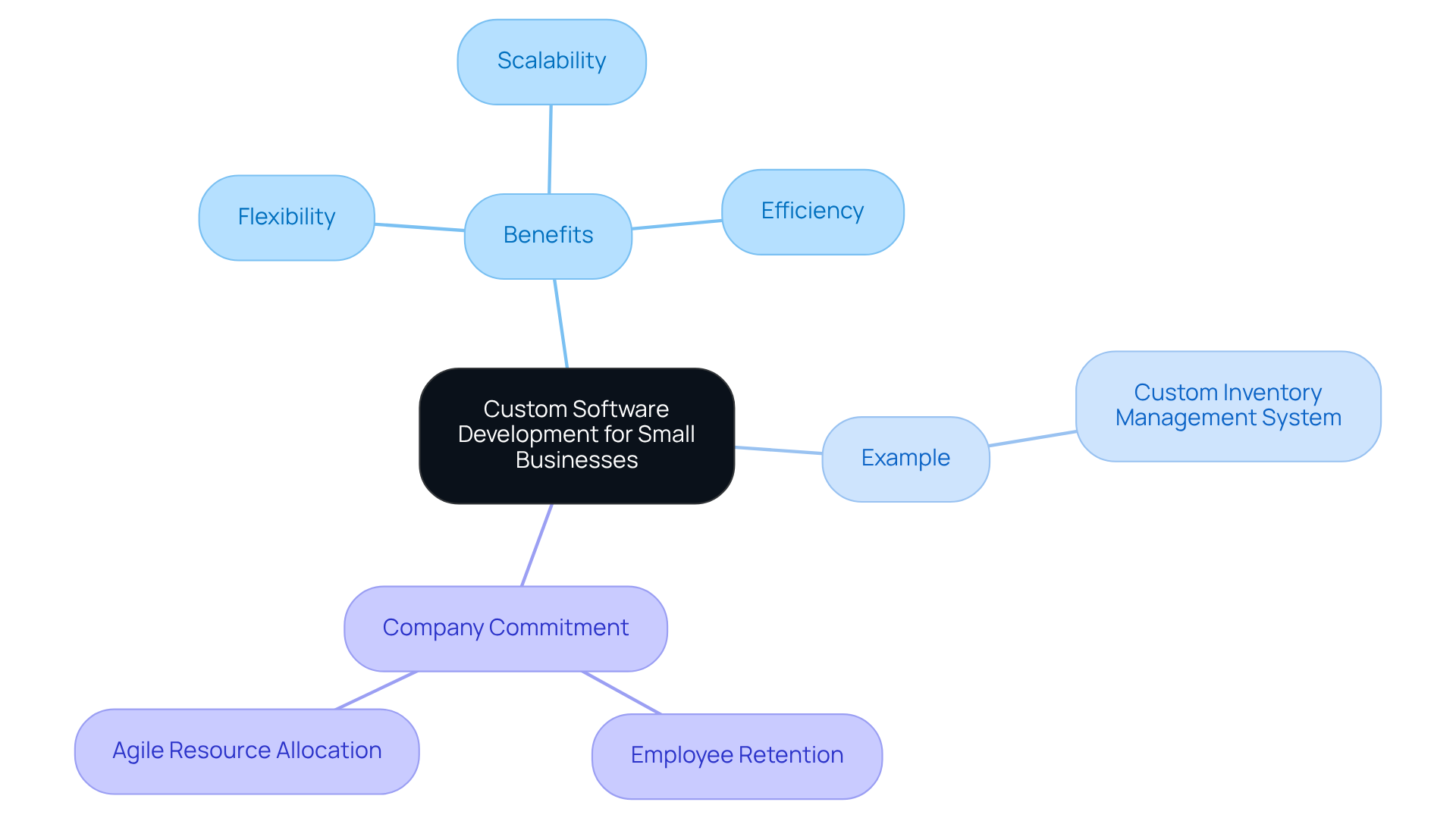 The center represents the main topic, and the branches show the benefits, examples, and company commitments related to custom software development. Each branch helps you understand how these elements connect to the central idea.