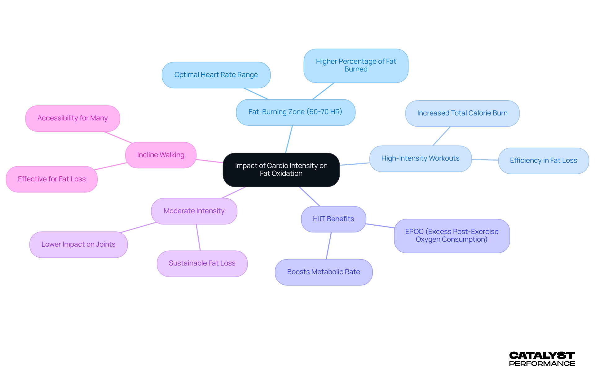The central node represents the main topic, while the branches show different aspects of how cardio intensity affects fat burning. Each branch leads to specific details, helping you see the connections and importance of varying workout intensities. The central node represents the main topic, while the branches show different aspects of how cardio intensity affects fat burning. Each branch leads to specific details, helping you see the connections and importance of varying workout intensities.