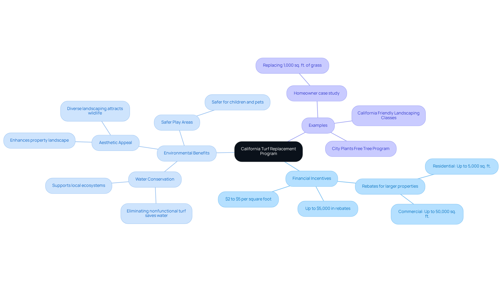 The center represents the program, with branches showing financial incentives, environmental benefits, and real-life examples. Each branch highlights how the program supports homeowners and the environment.